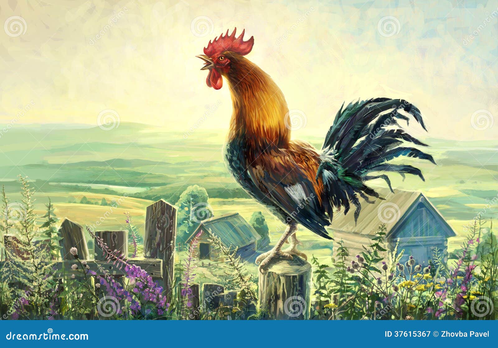 Rooster stock illustration. Illustration of dawn, energetic - 37615367