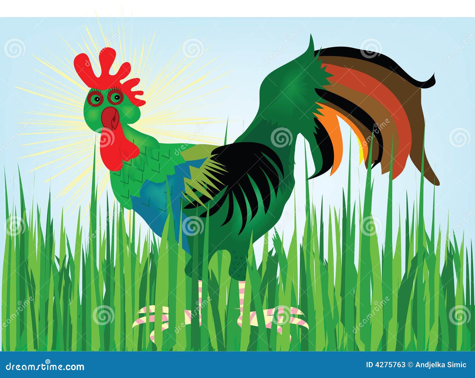 Rooster stock vector. Illustration of natural, morning - 4275763