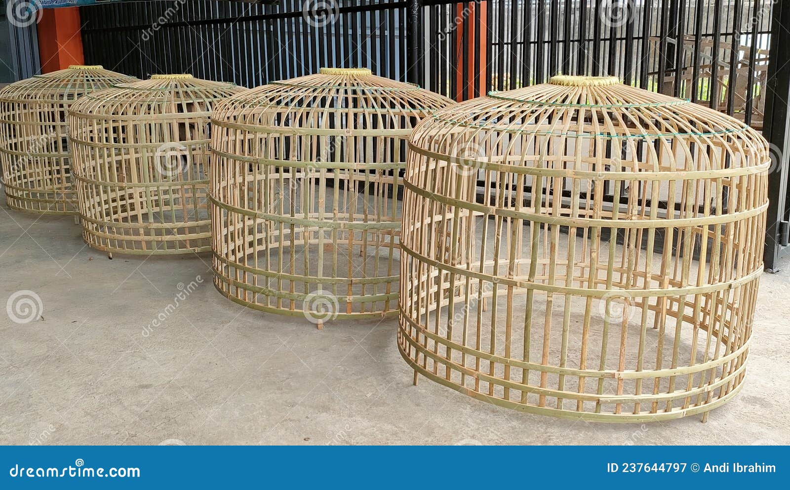 Rooster Cage Made by Skilled Human Hands from Bamboo Stock Image ...