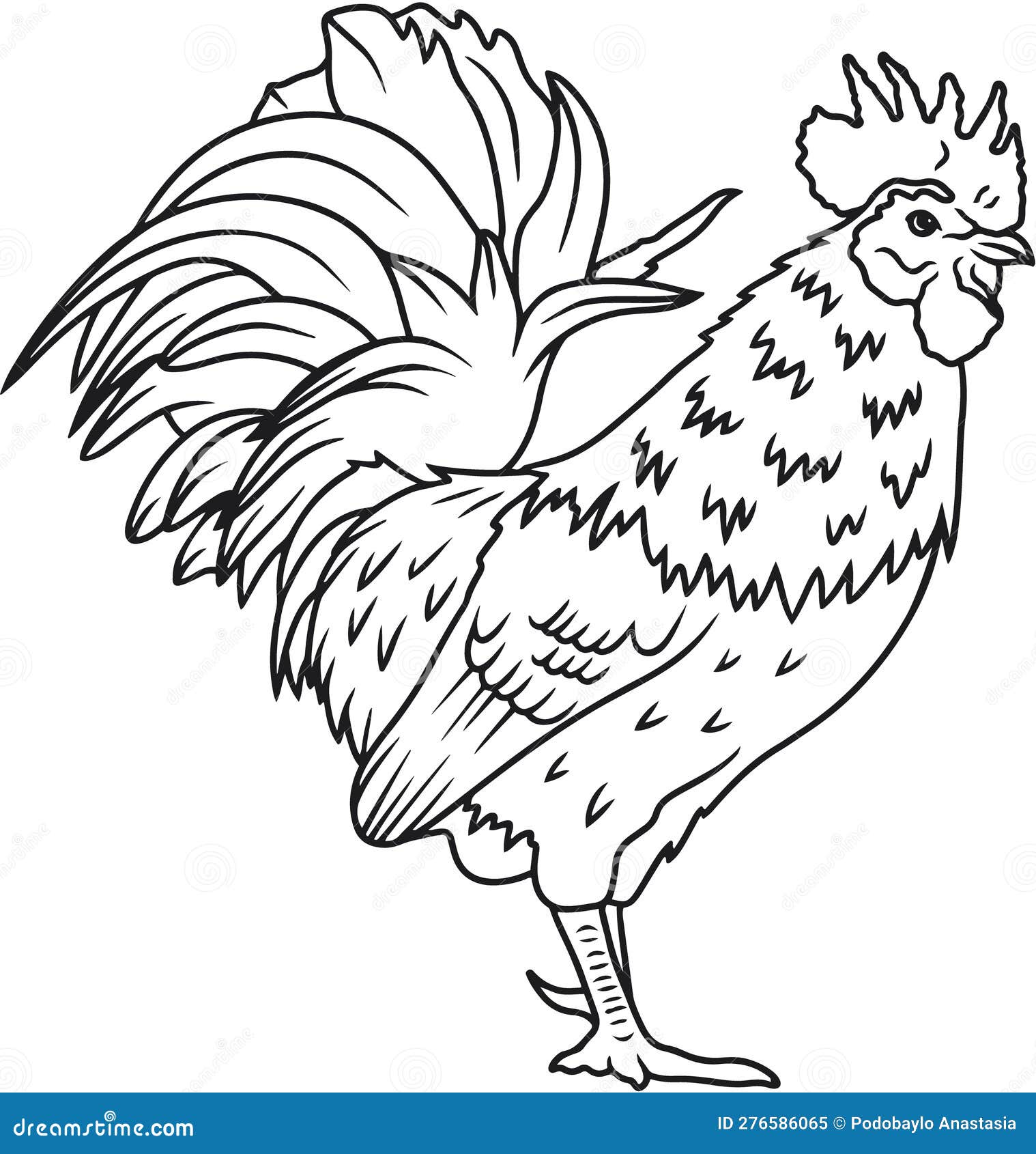Rooster Clipart Vector stock vector. Illustration of resolution - 276586065