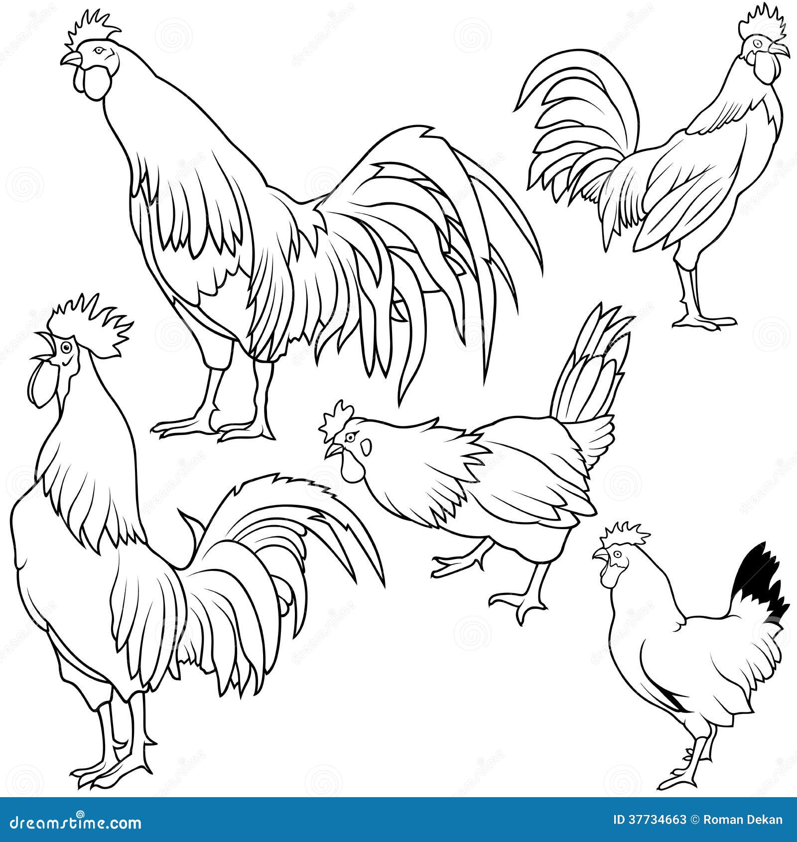 Rooster Collection stock vector. Illustration of drawing - 37734663