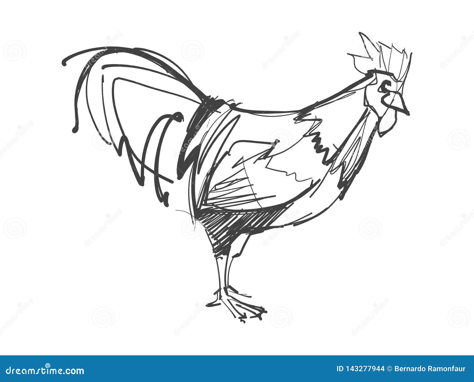 Rooster Digital Hand Drawn Illustration Stock Illustration ...