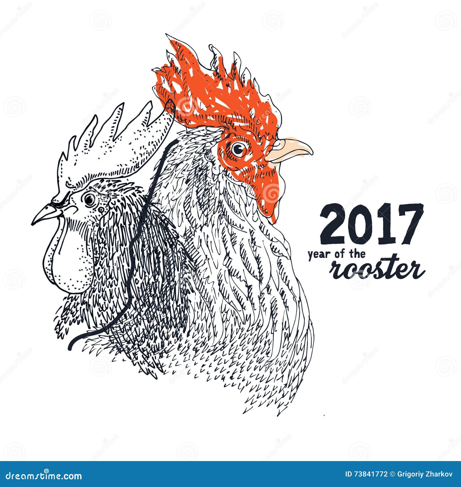 Rooster Drawing Illustration Stock Illustration - Illustration of ...