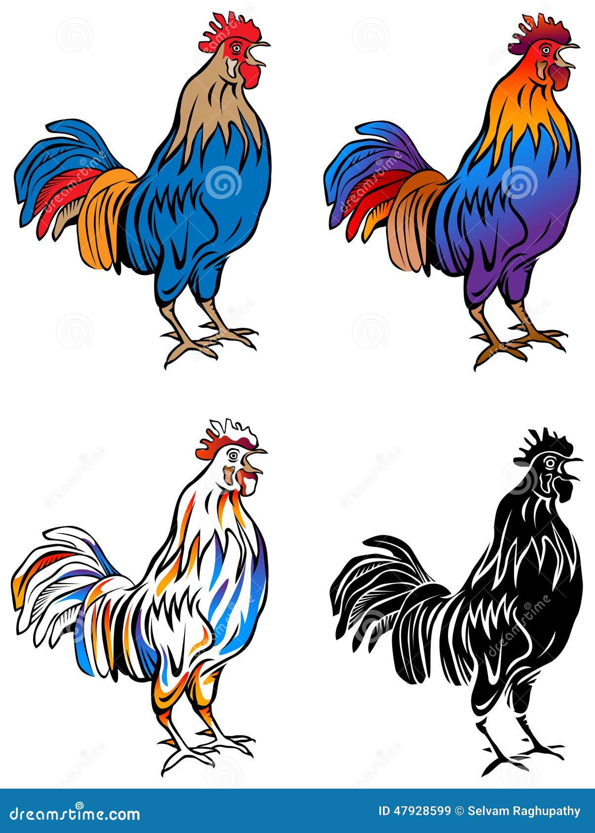 Rooster drawing set stock vector. Illustration of bird - 47928599