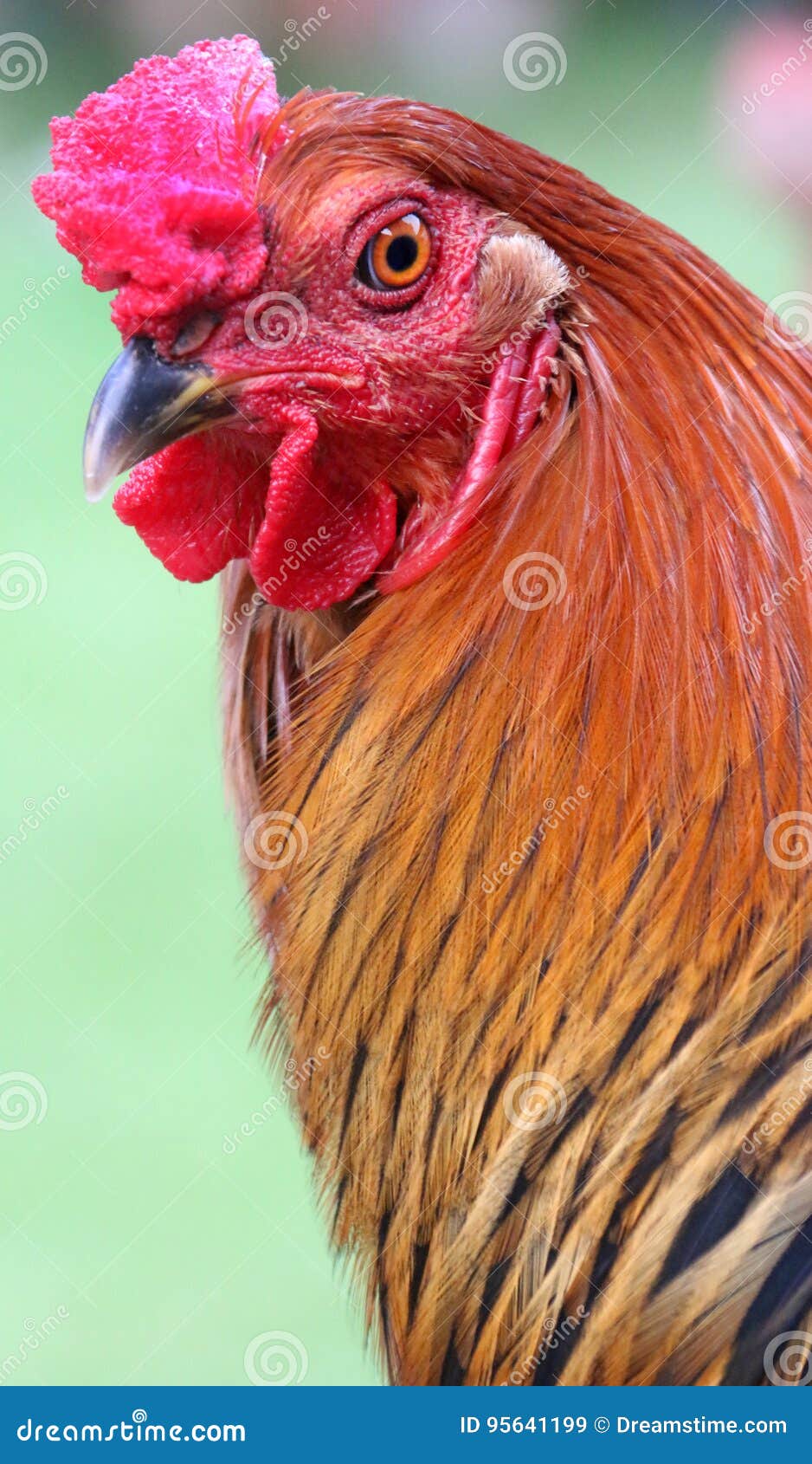 Chooza Stock Photos - Free & Royalty-Free Stock Photos from Dreamstime