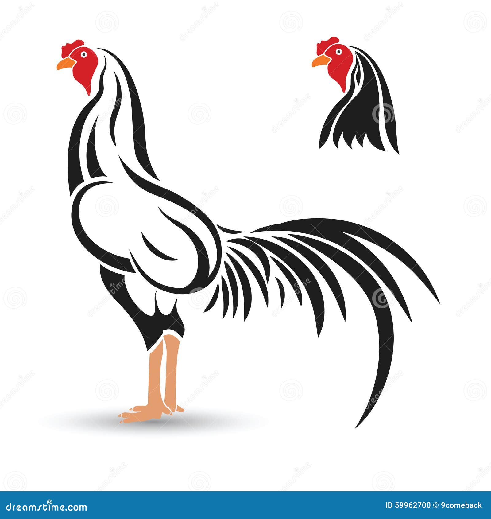 Fighting Roosters Drawings