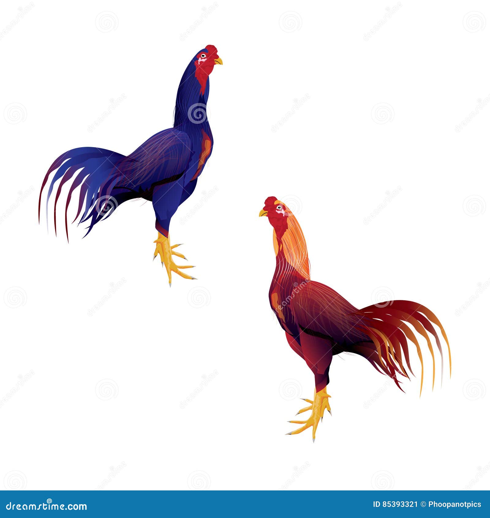 The rooster gamecock stock vector. Illustration of design - 85393321