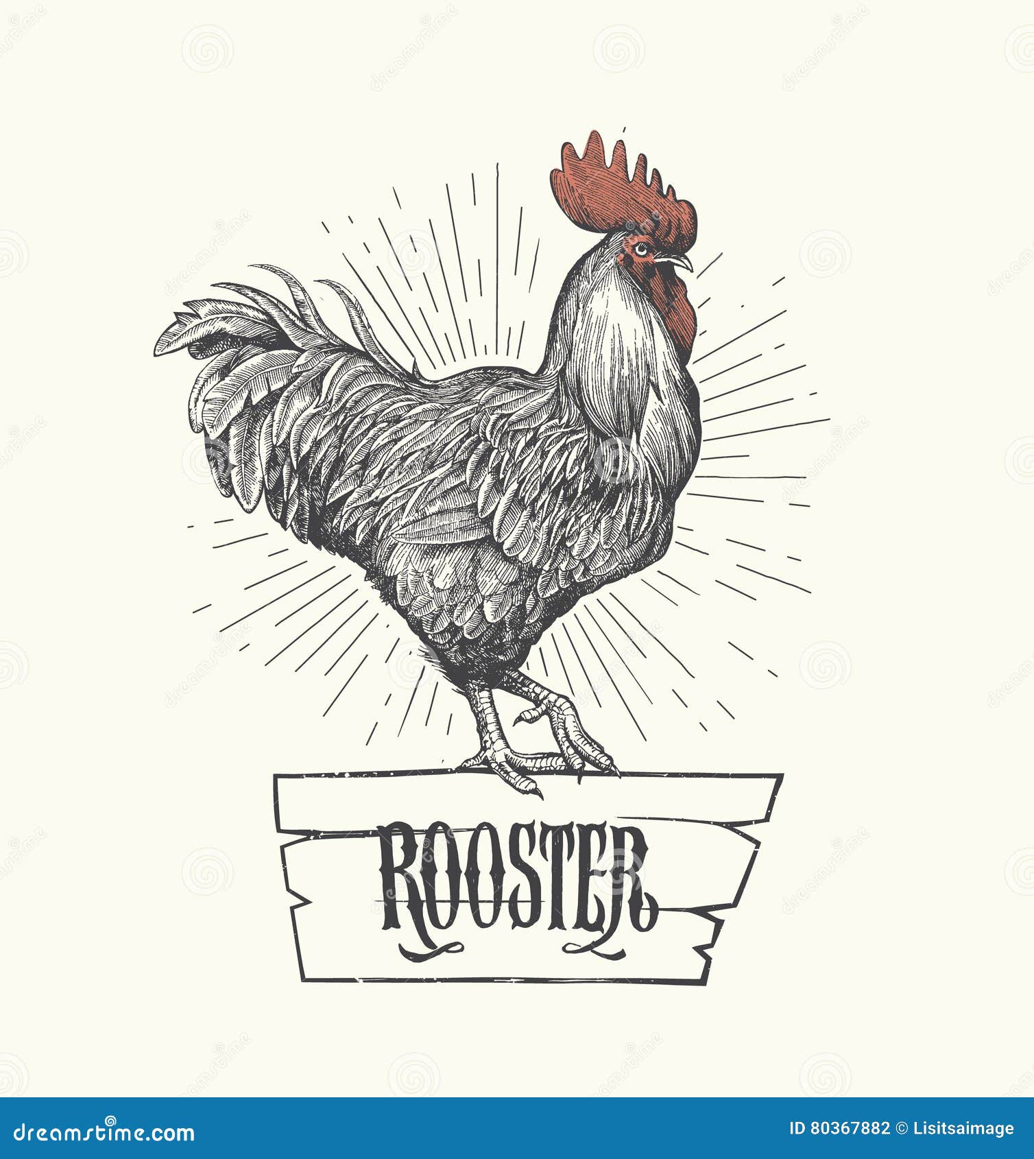 Rooster in Graphic Style, Hand Drawn Illustration. Symbol of 2017 ...