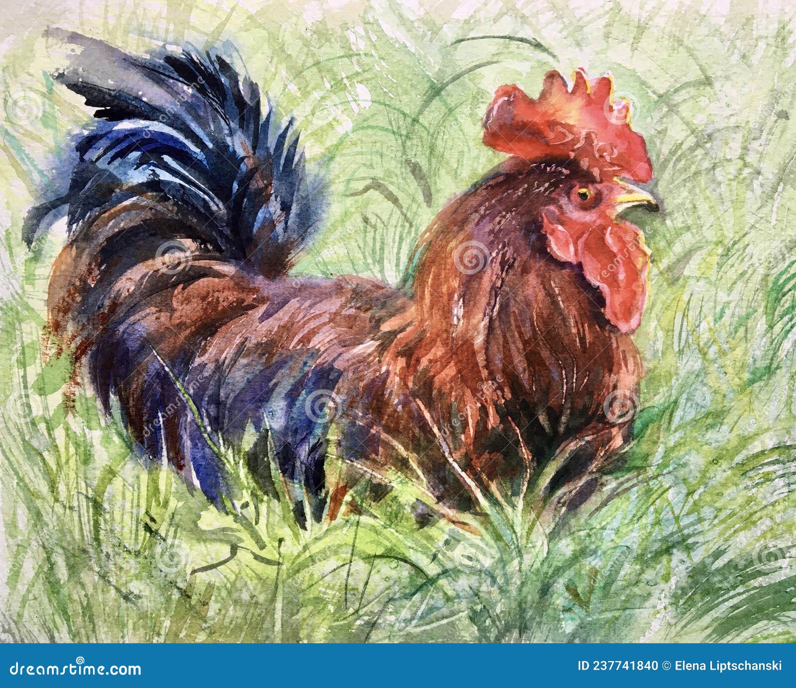 Rooster On Green Nature Background. Watercolor. Design Element. Stock ...