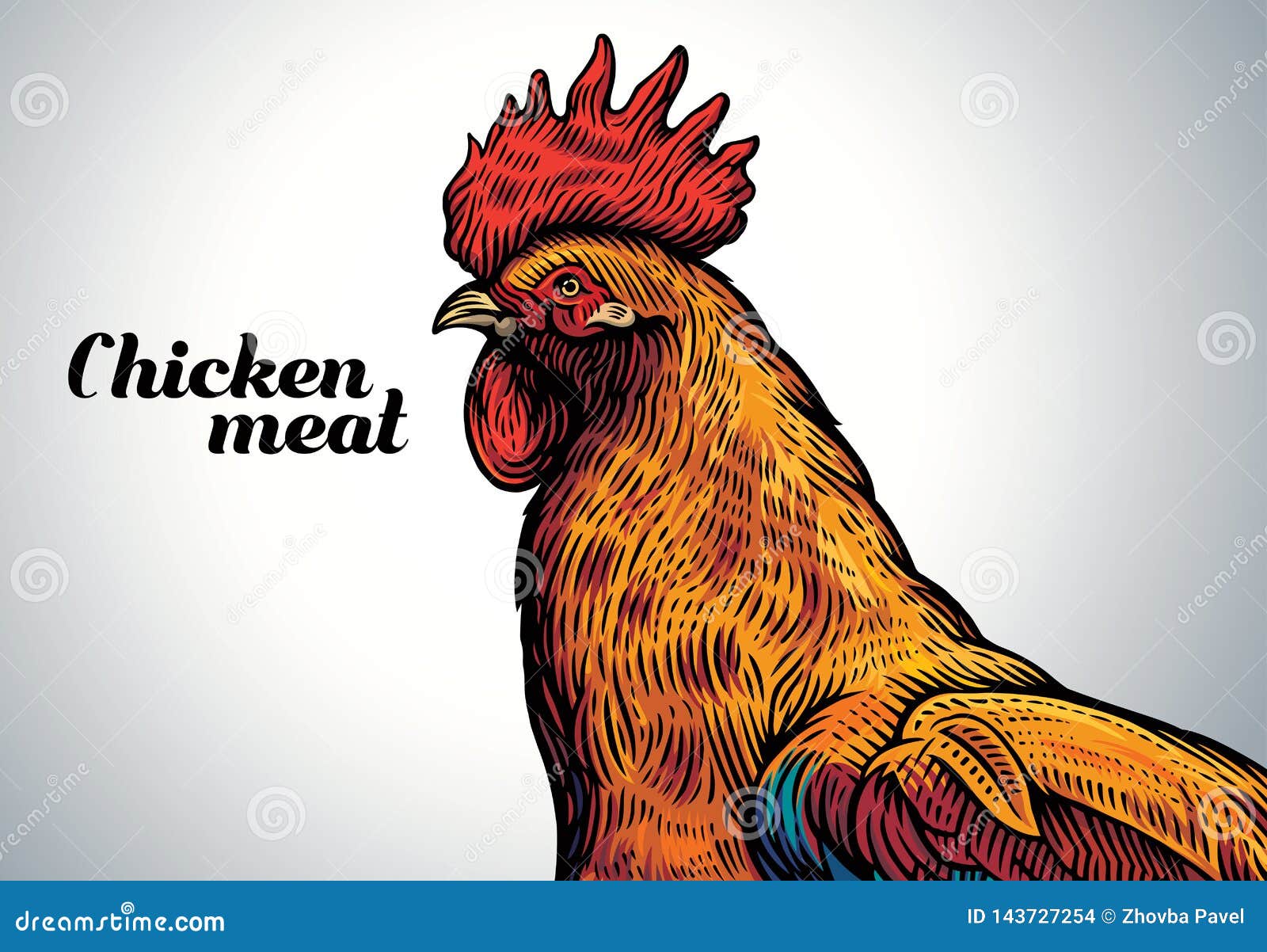 Rooster Head Clipart Set - Outline, Silhouette & Color Cartoon Vector ...