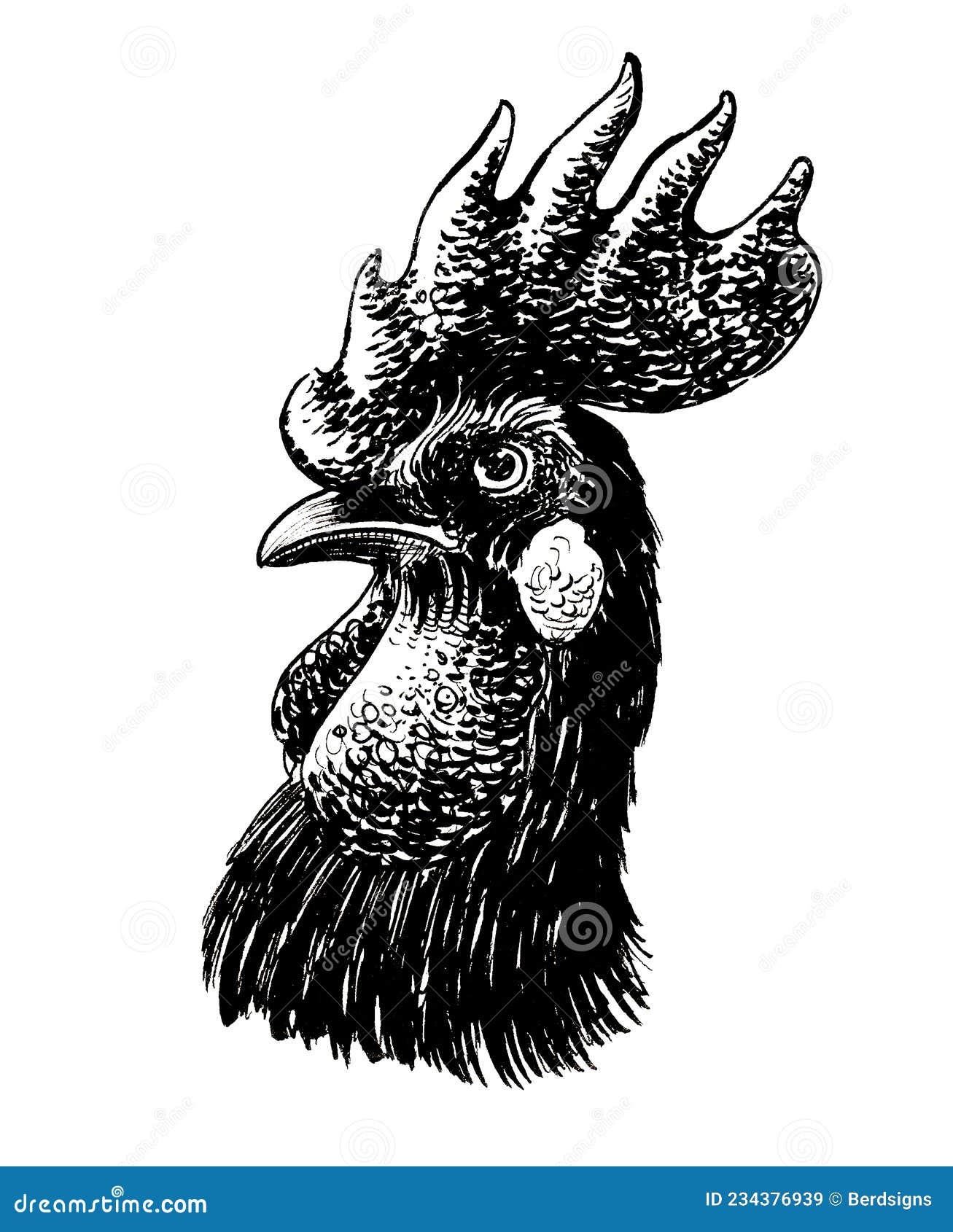 Rooster head stock illustration. Illustration of drawing - 234376939