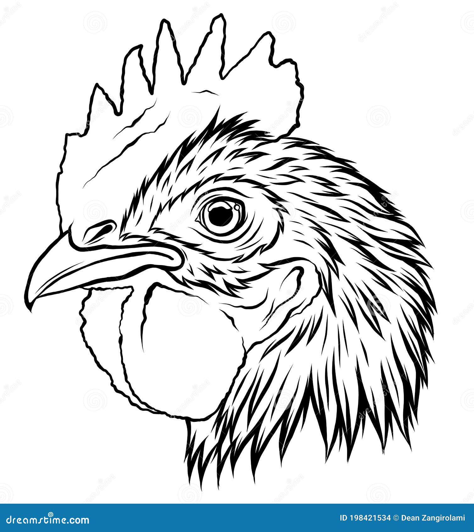 Rooster Head, Realistic Vector Illustration Graphics Art Stock Vector ...