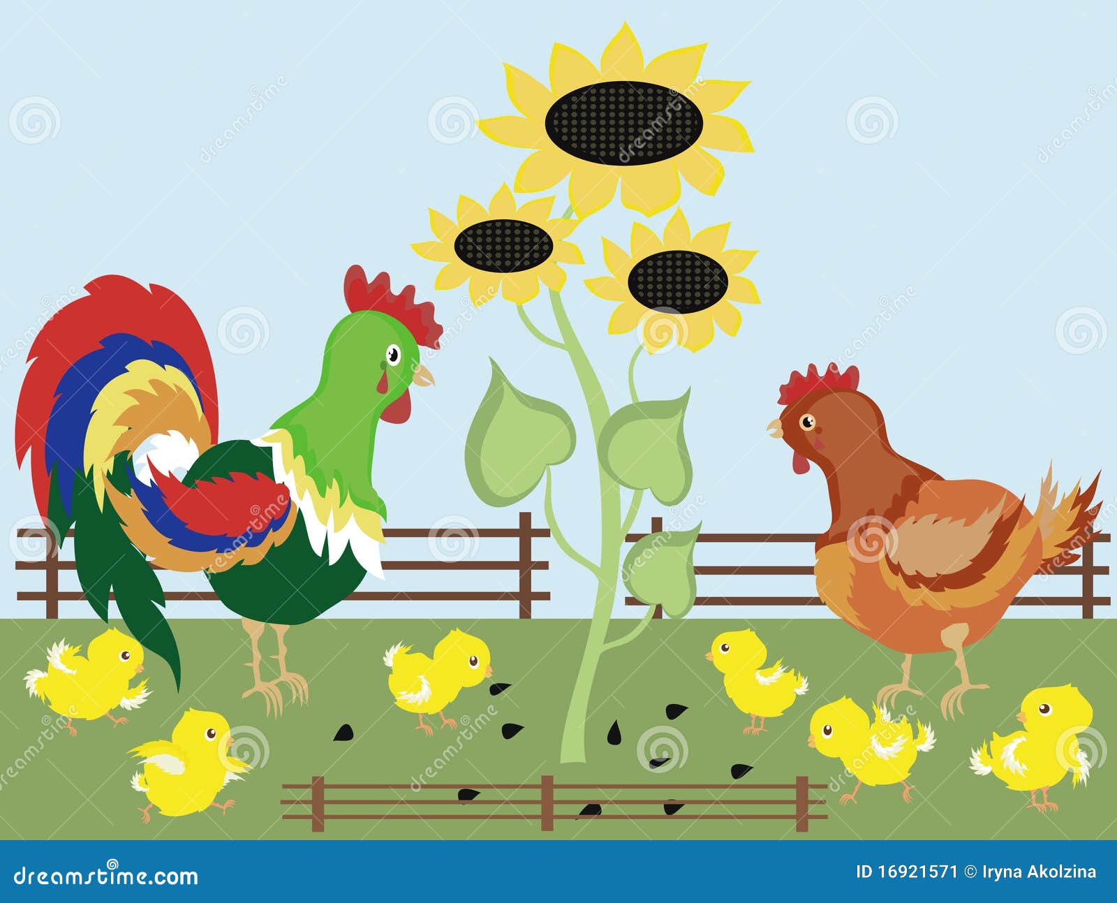 Rooster, Hen and Chickens Near Sunflower. Stock Vector - Illustration ...
