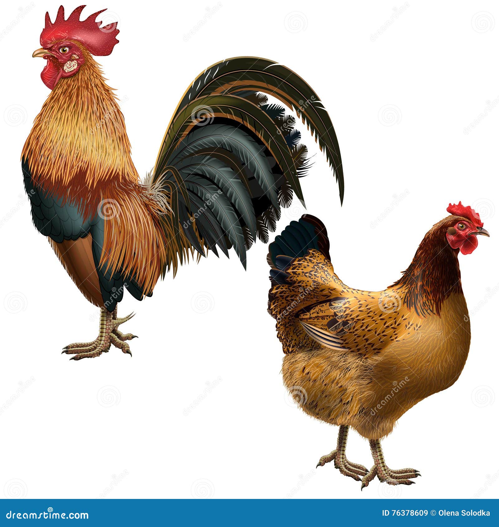 Realistic Rooster Mascot Ripping Out Of Background Cartoon Vector ...