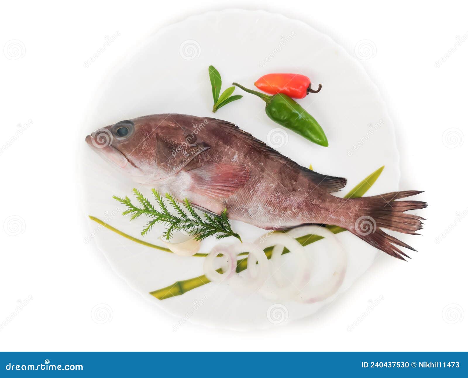 Rooster Hind Grouper or Pink Grouper Decorated on a White Plate ...