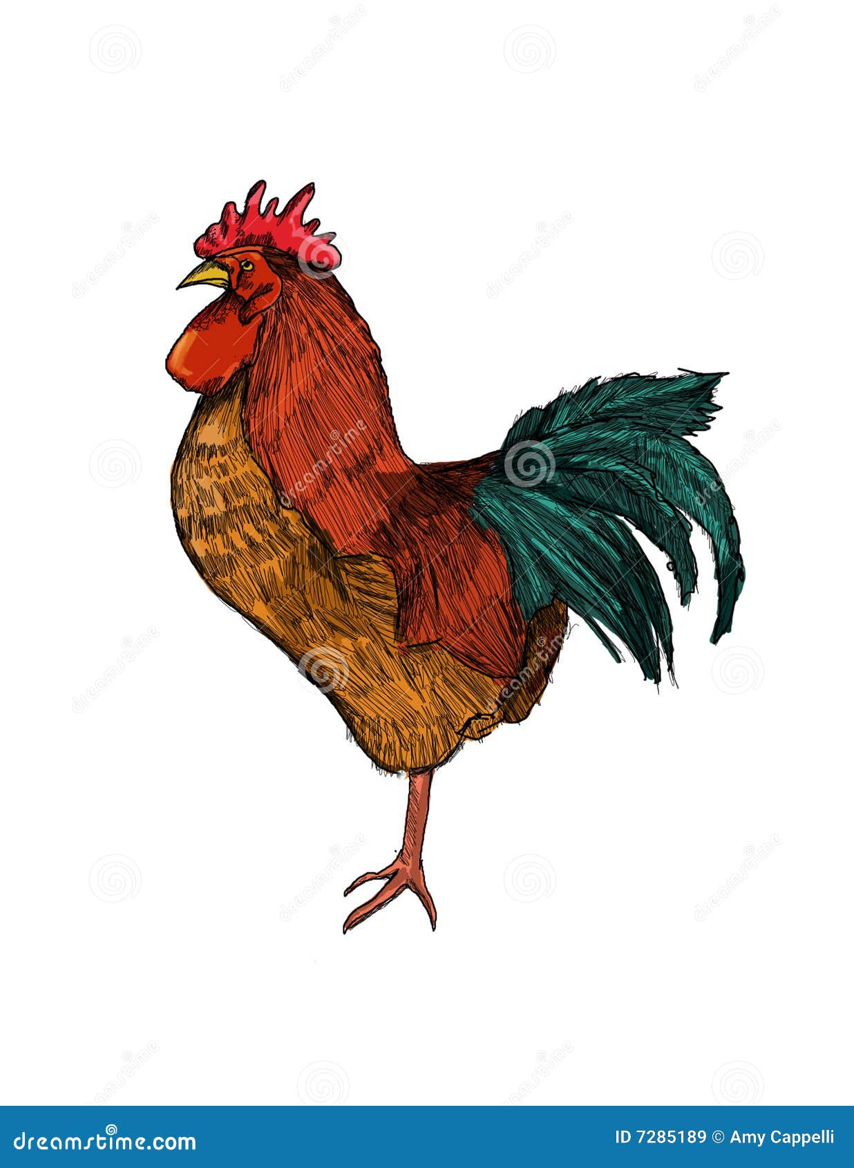 Rooster Illustration stock illustration. Illustration of poultry - 7285189
