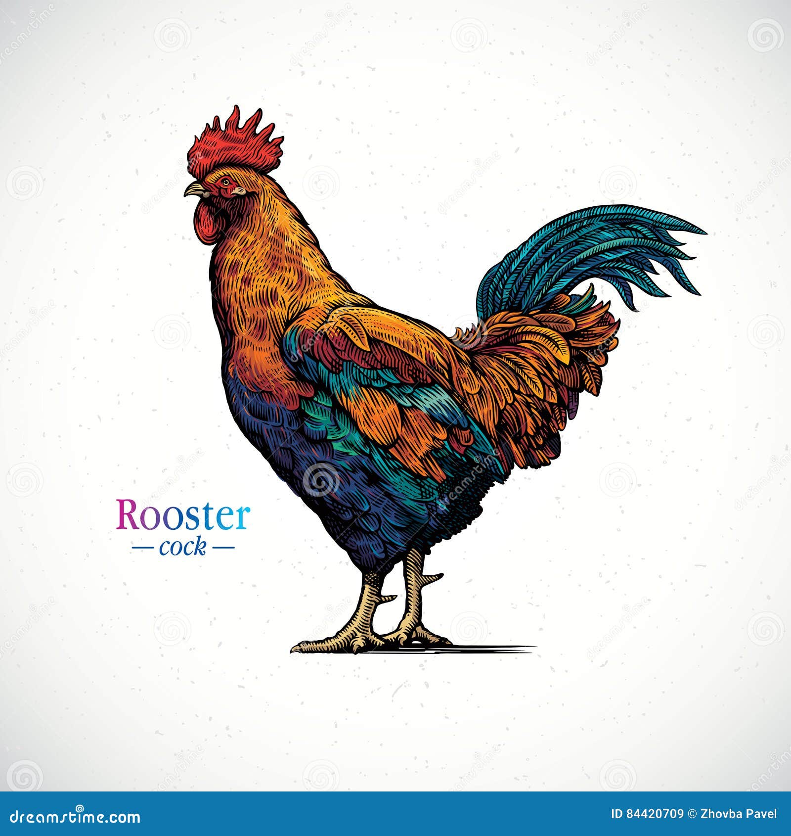 Rooster. stock vector. Illustration of label, leader - 84420709