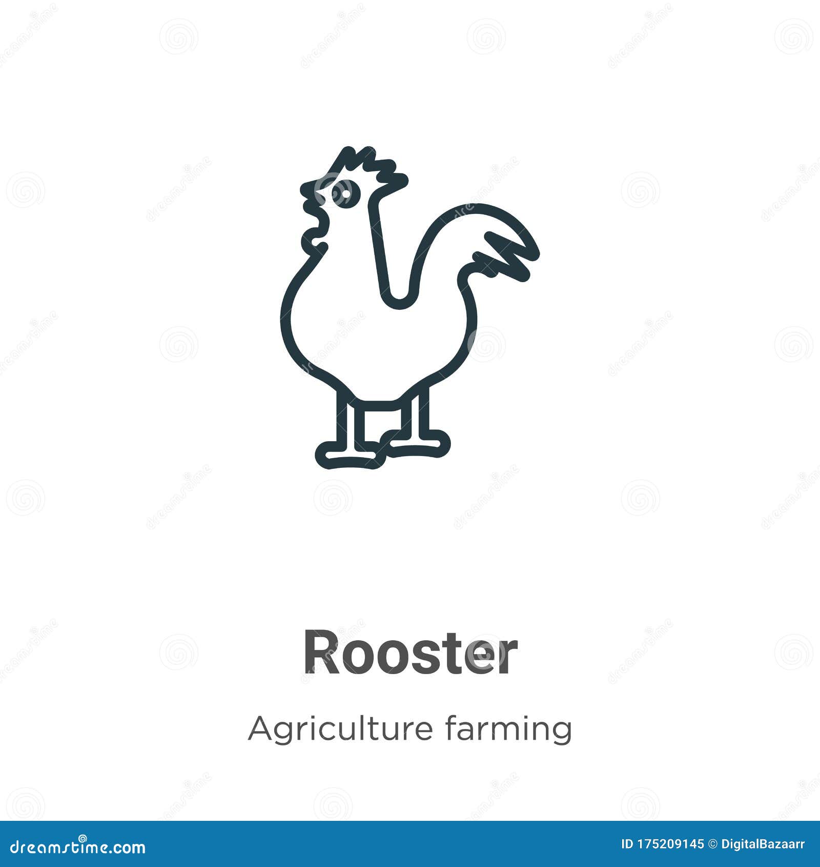 Rooster Outline Drawing Black And White Vector Illustration ...