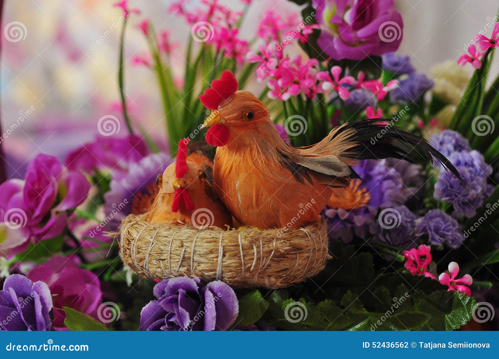 Rooster, poultry. stock photo. Image of greens, bird - 52436562