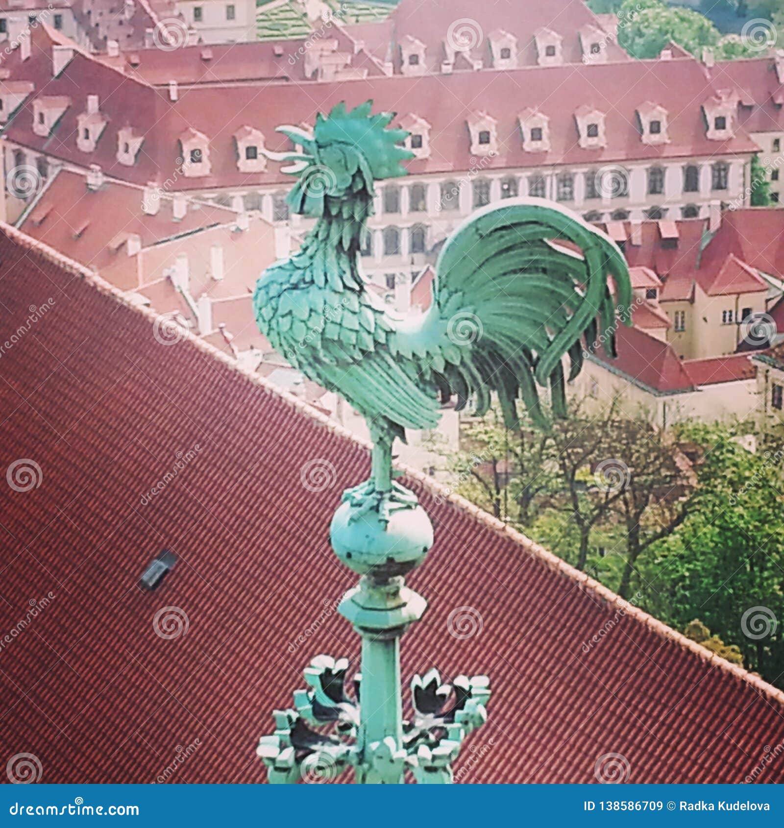 Rooster stock image. Image of rooster, roof, historic - 138586709