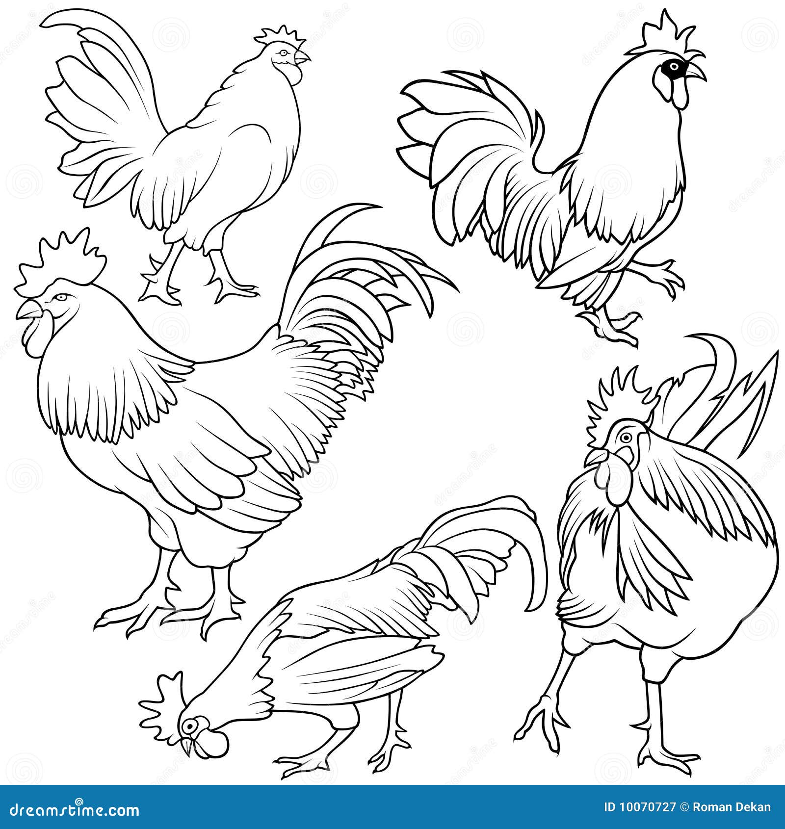 Rooster Set stock vector. Illustration of hand, drawing - 10070727