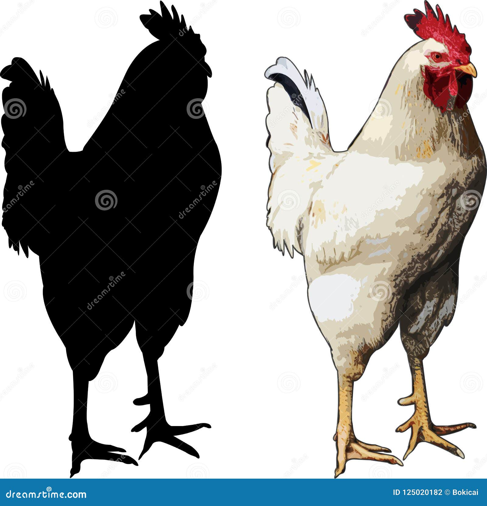 Rooster Silhouette and Illustration Stock Vector - Illustration of ...