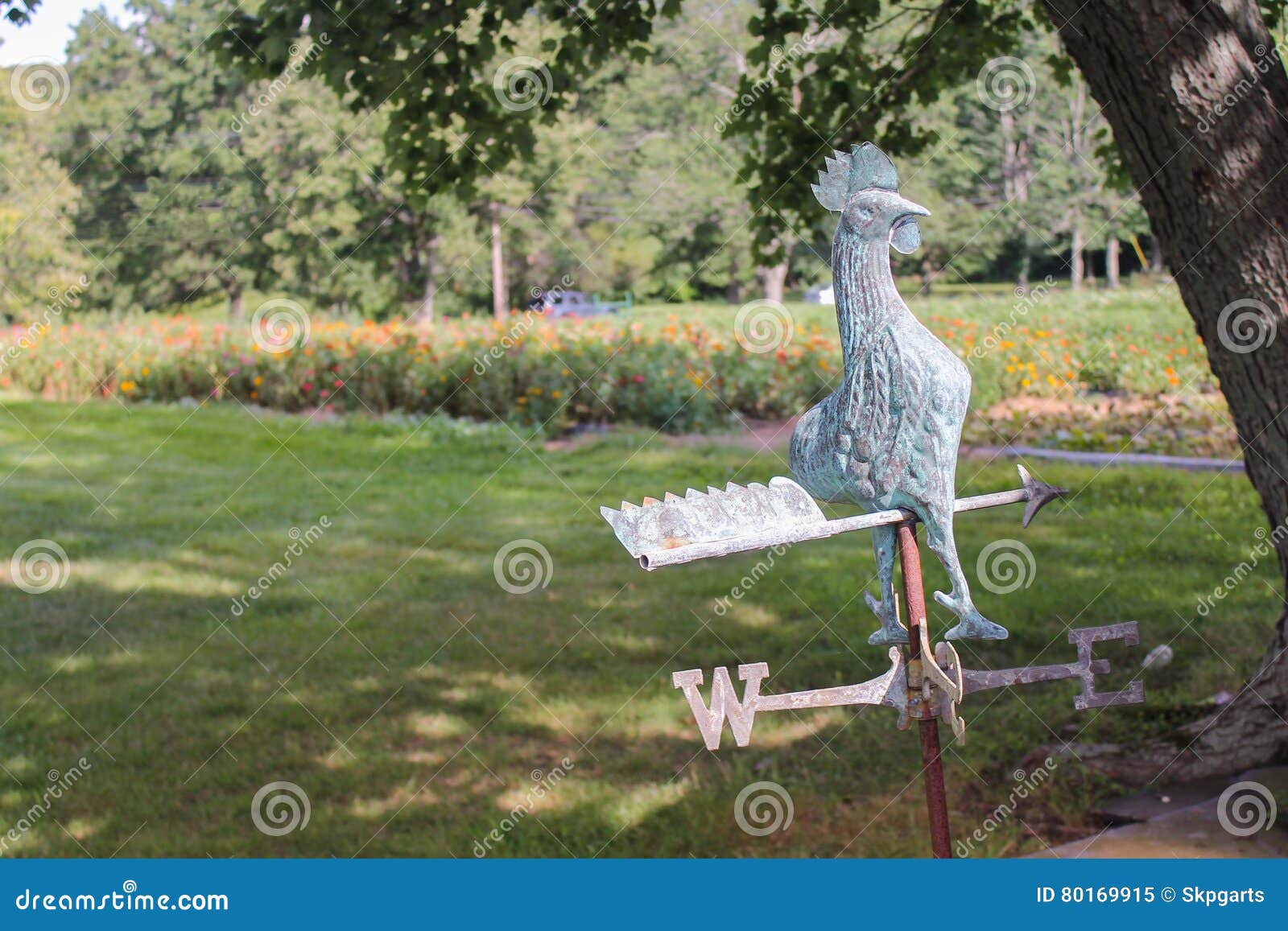 Rooster Weathervane stock image. Image of west, flowers - 80169915