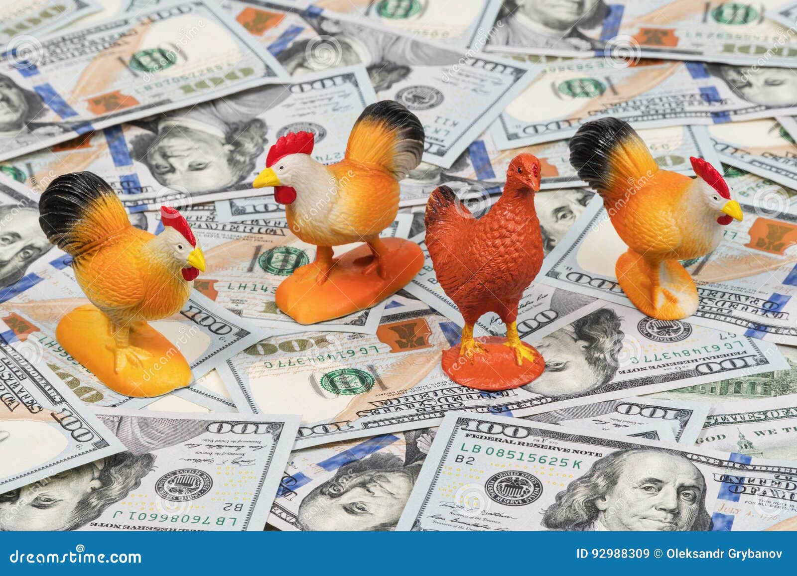 Roosters and Chicken on Money Stock Image - Image of four, blurred ...