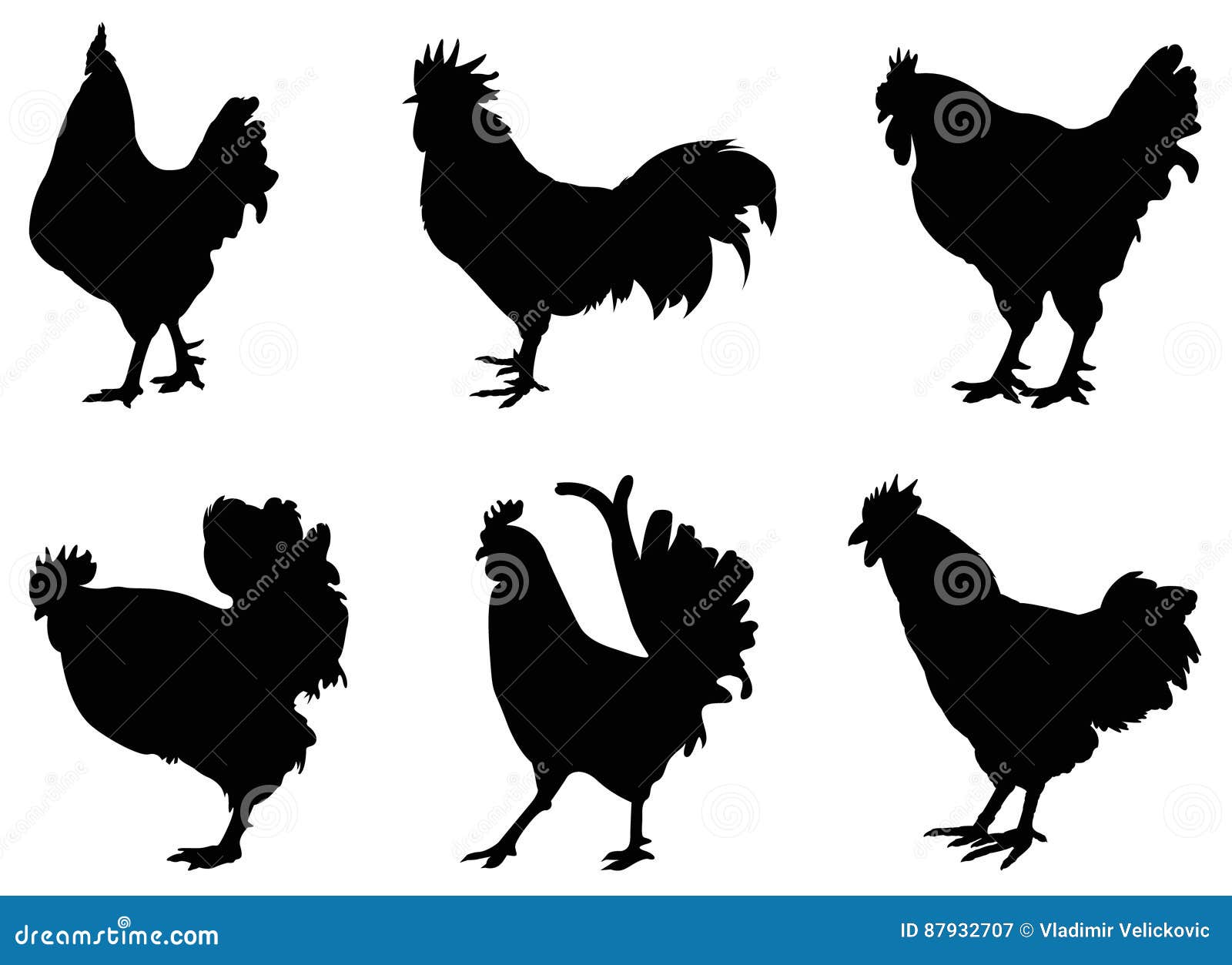 Roosters silhouette stock vector. Illustration of farm - 87932707