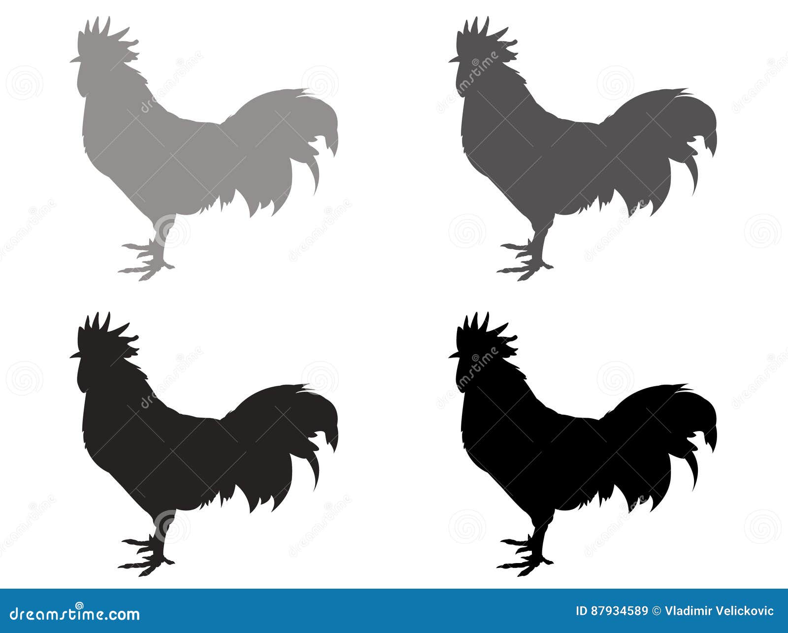 Roosters silhouette stock vector. Illustration of animals - 87934589