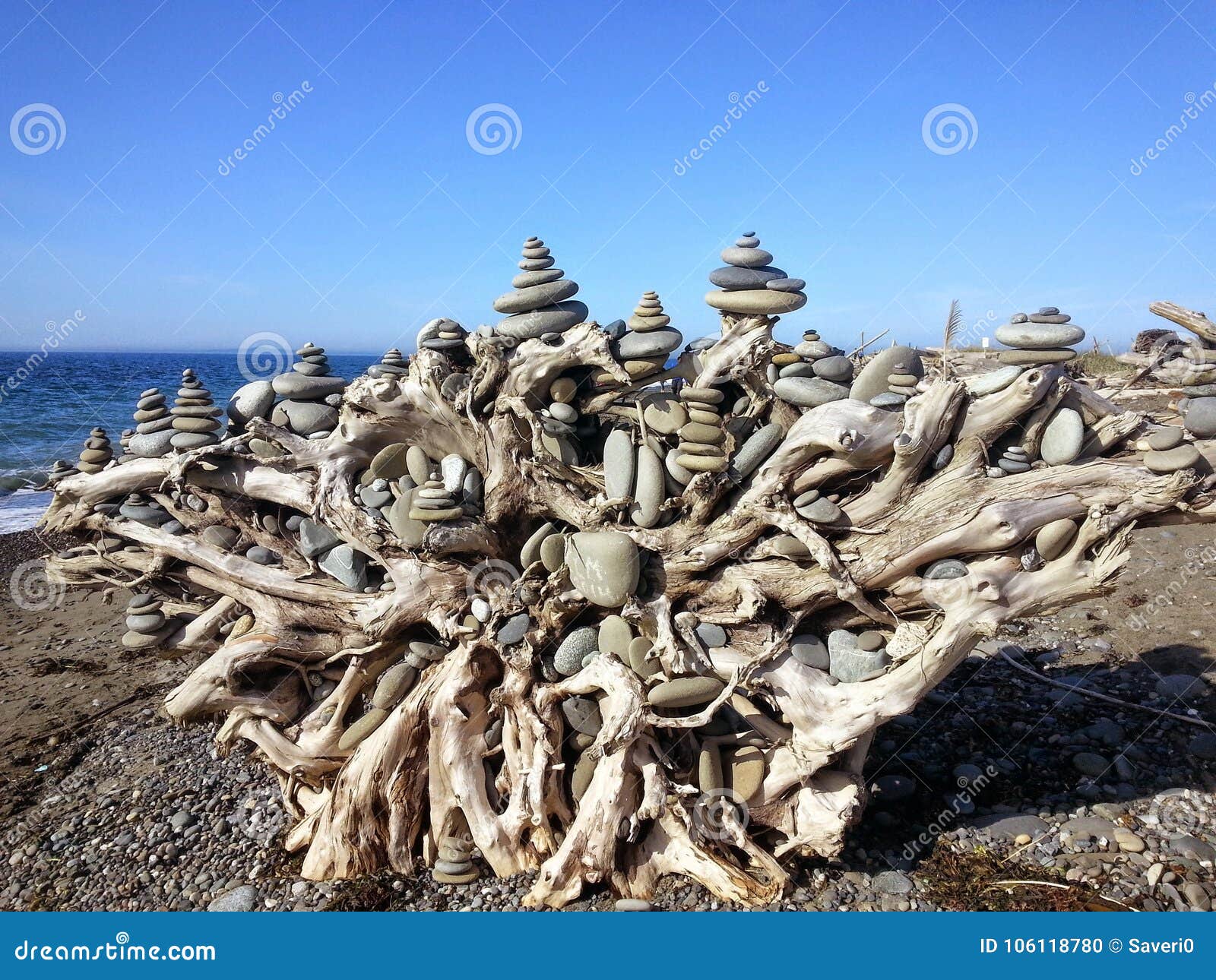 Stump of Stacked Stones Dungeness Spit Stock Photo - Image of branches ...