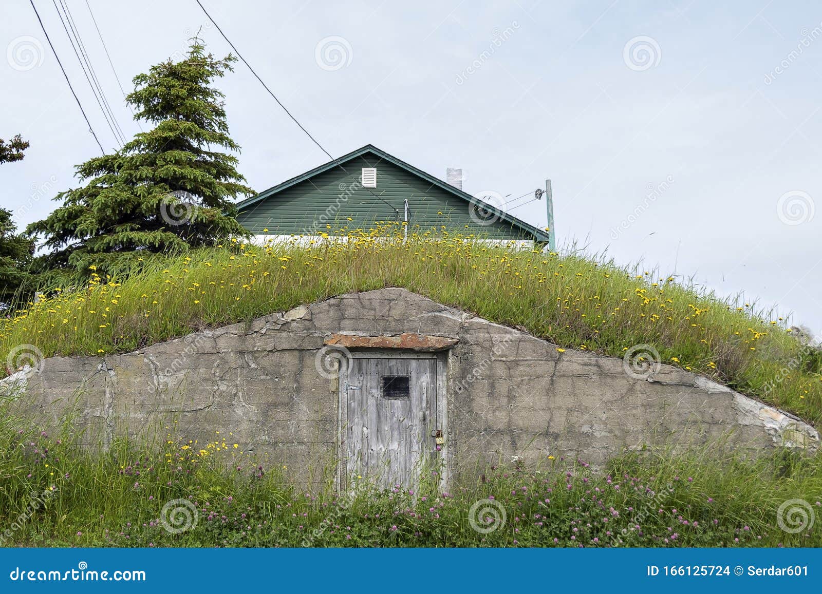 Old root cellar stock photo. Image of nature, cellar - 166125724