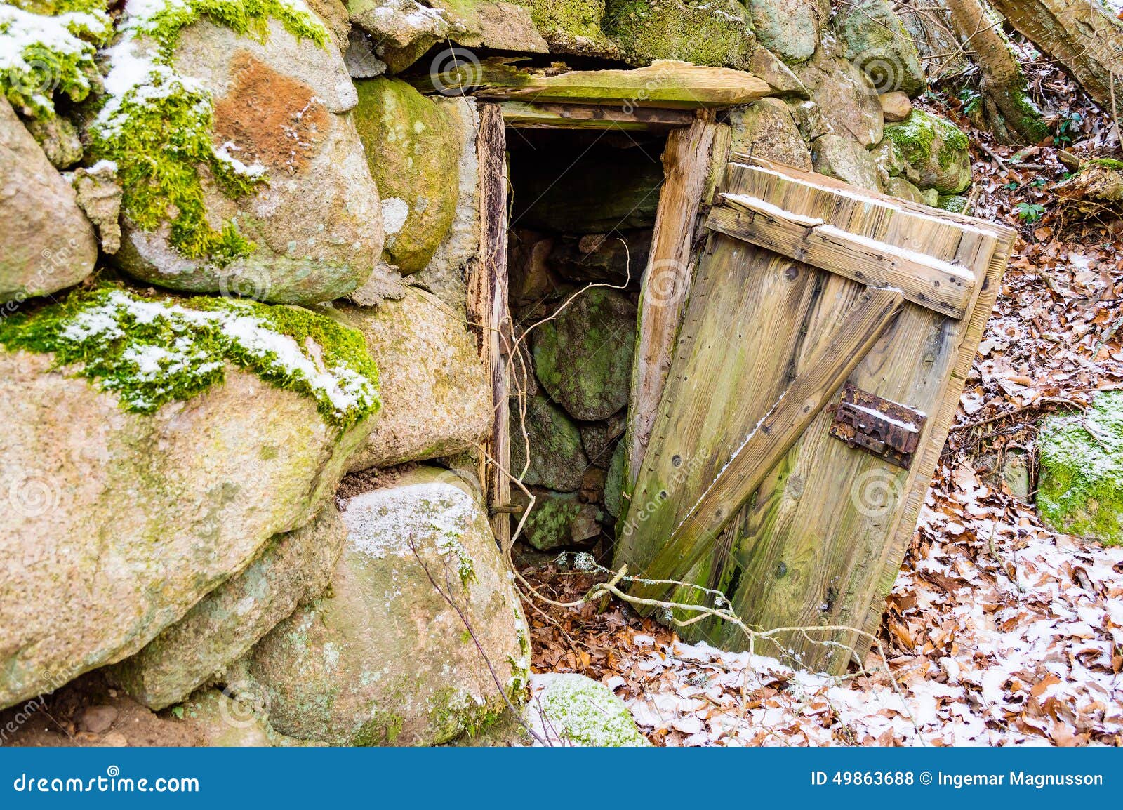 Root cellar stock photo. Image of danger, nature, boulder - 49863688