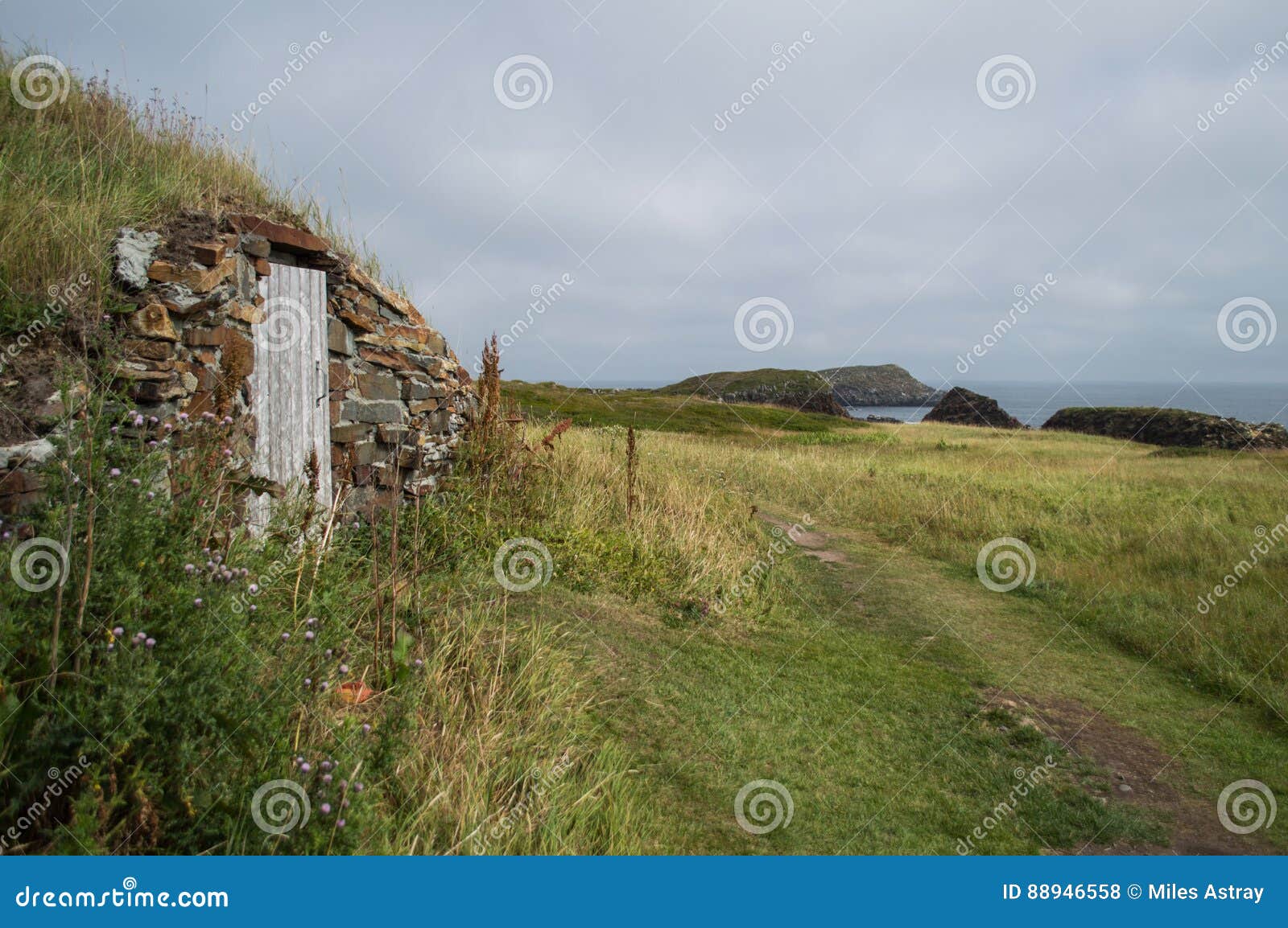 Root Cellars at Elliston Puffin Site in Newfoundland Stock Photo ...