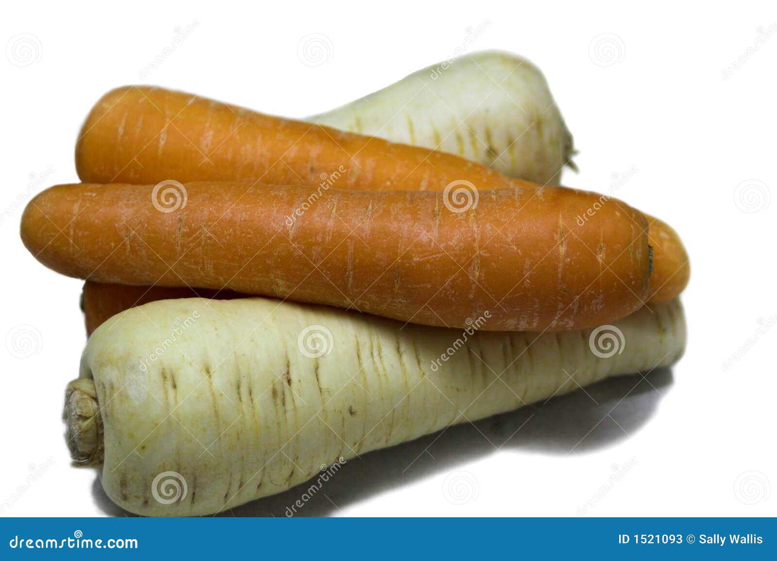 Root Crops stock image. Image of grown, cooking, parsnips - 1521093