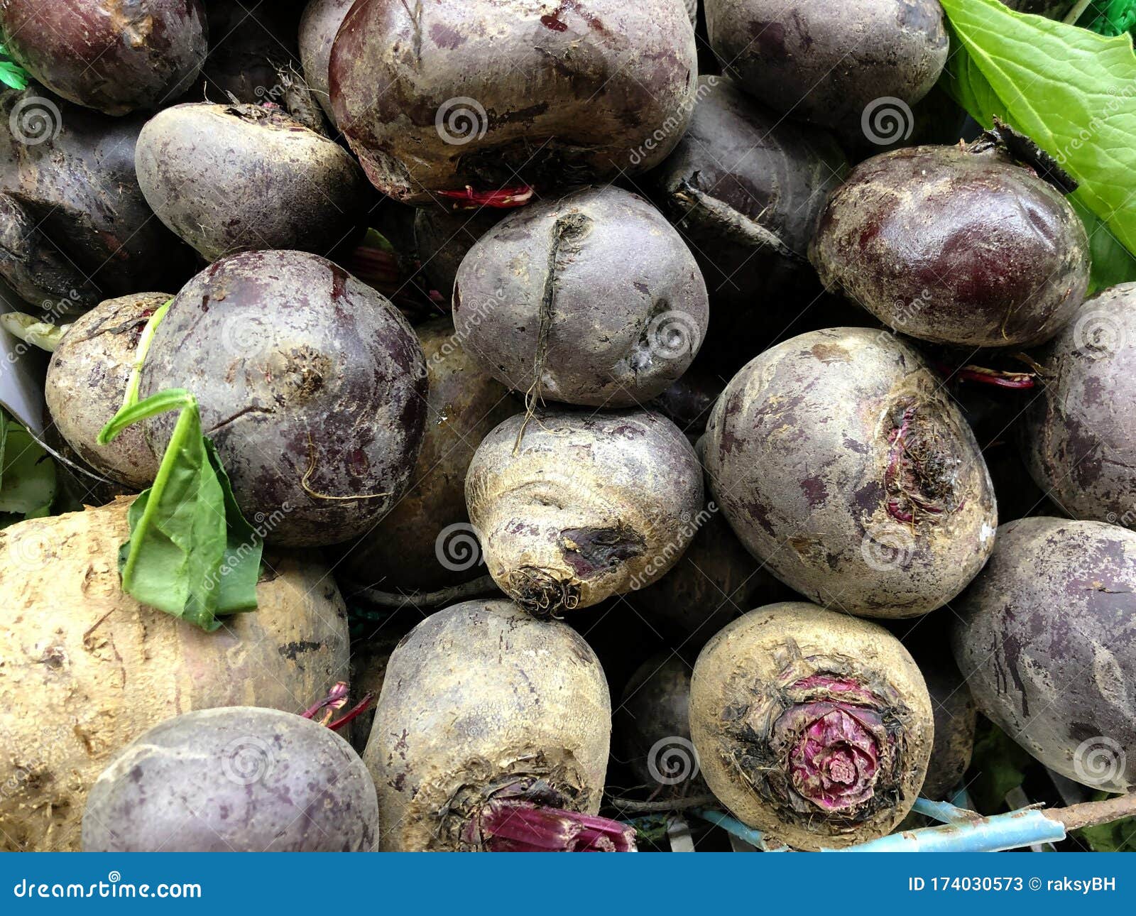 Root Crops at the Fresh Produce Section in a Grocery Store Stock Image ...