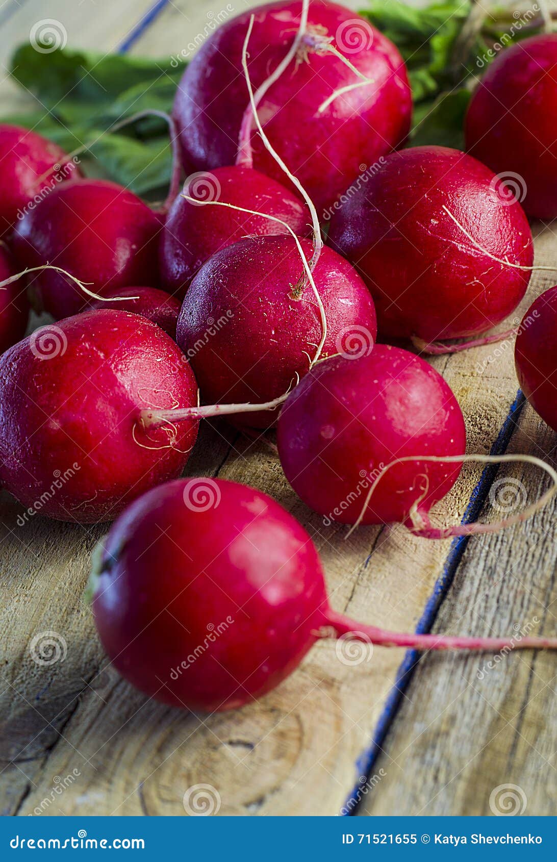 The Root Crops of Radishes on a Wooden Table Stock Image - Image of ...