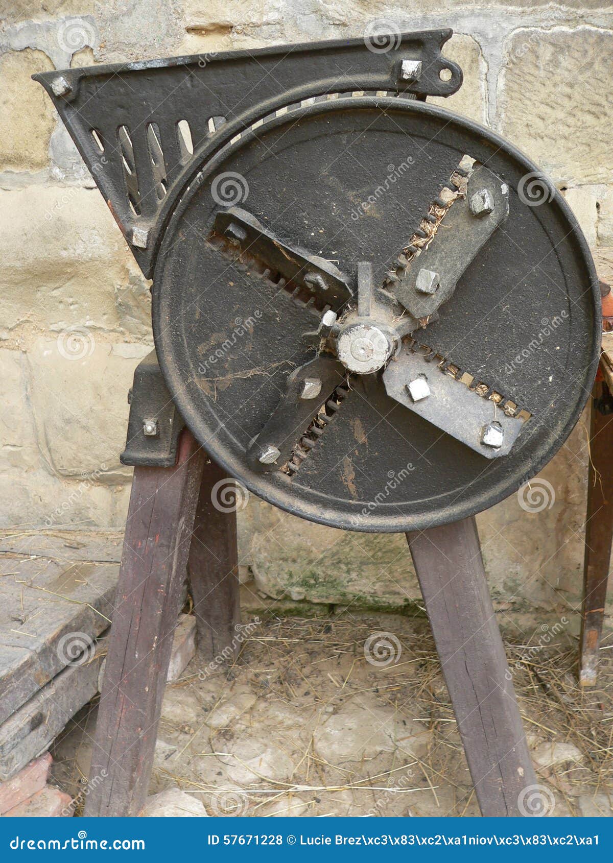Root cutting beet stock photo. Image of manufacturing - 57671228