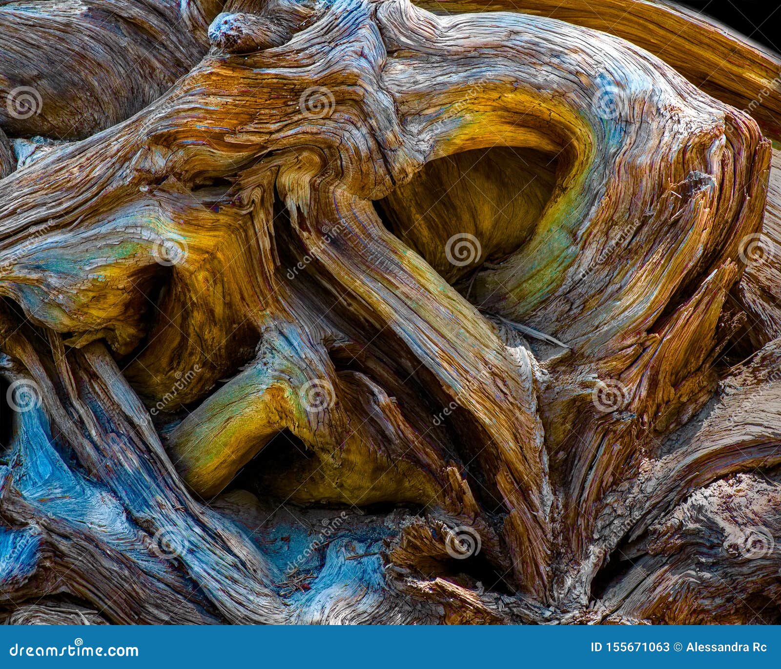 Wood Texture And Background Of A Tree Root Stock Image | CartoonDealer ...