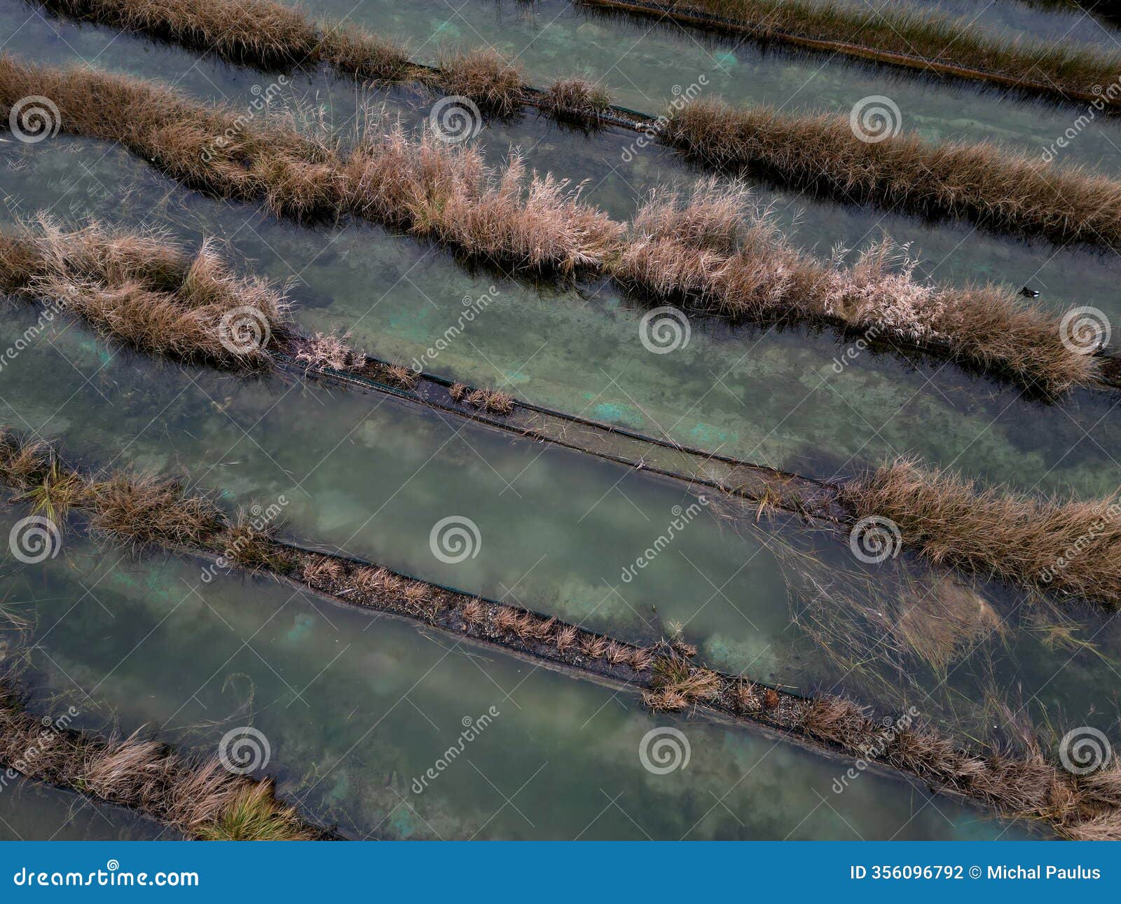 Root Filter is Filled with Fine Gravel, Over Which Water Flows from ...