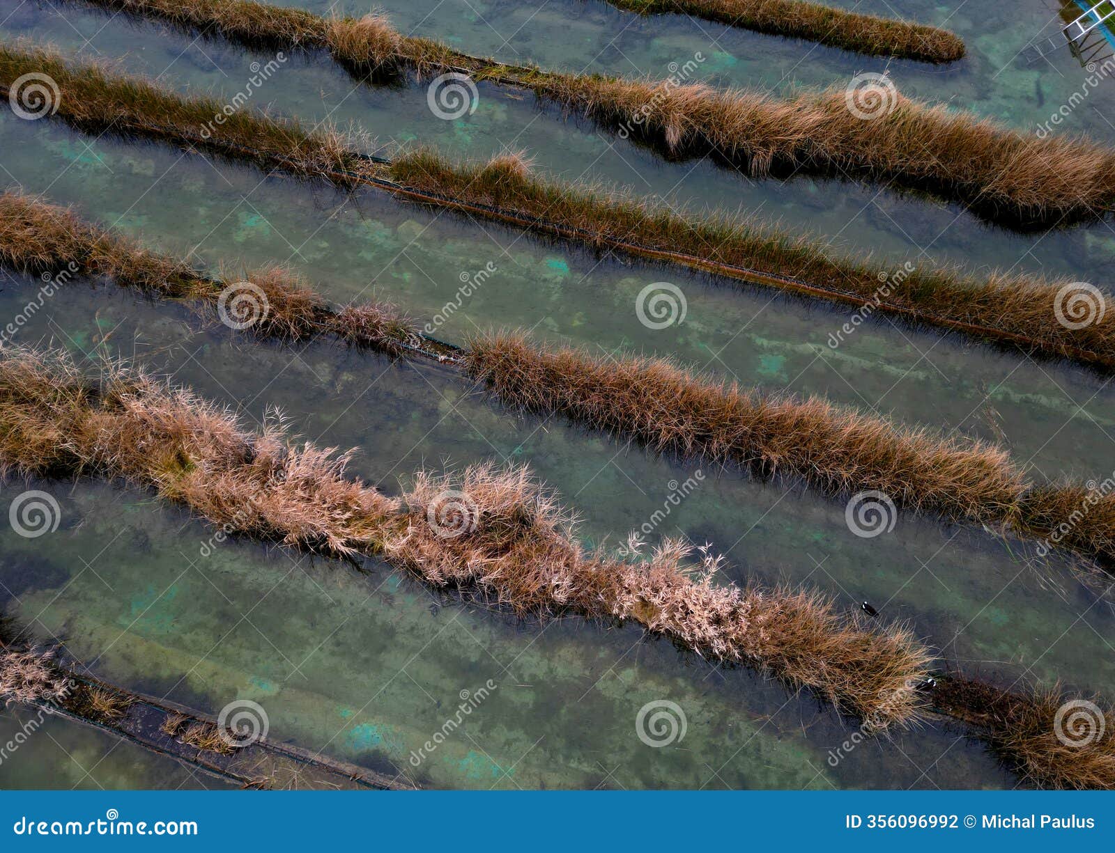 Root Filter is Filled with Fine Gravel, Over Which Water Flows from ...