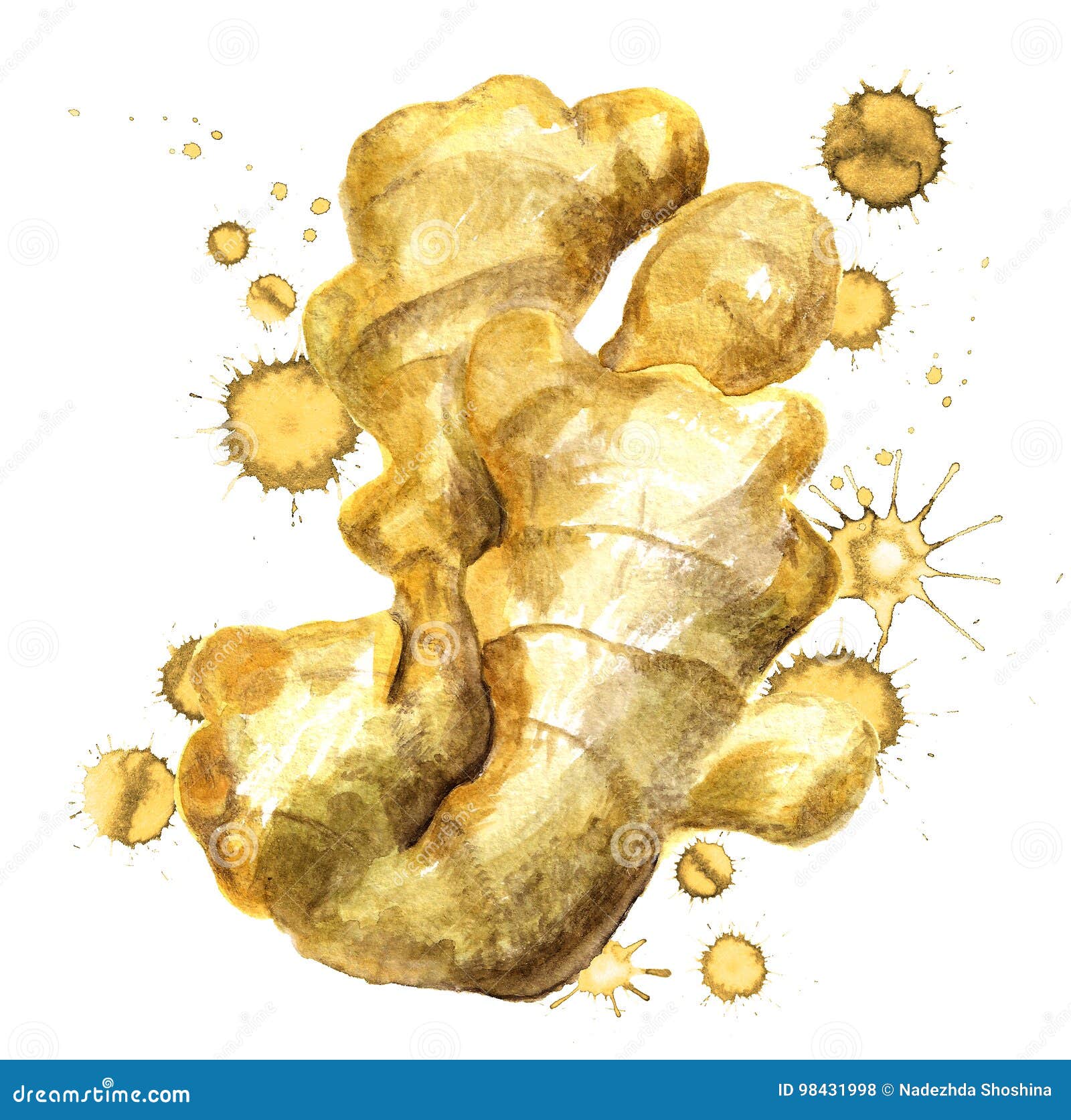 Ginger Paint Stock Illustrations – 950 Ginger Paint Stock Illustrations ...