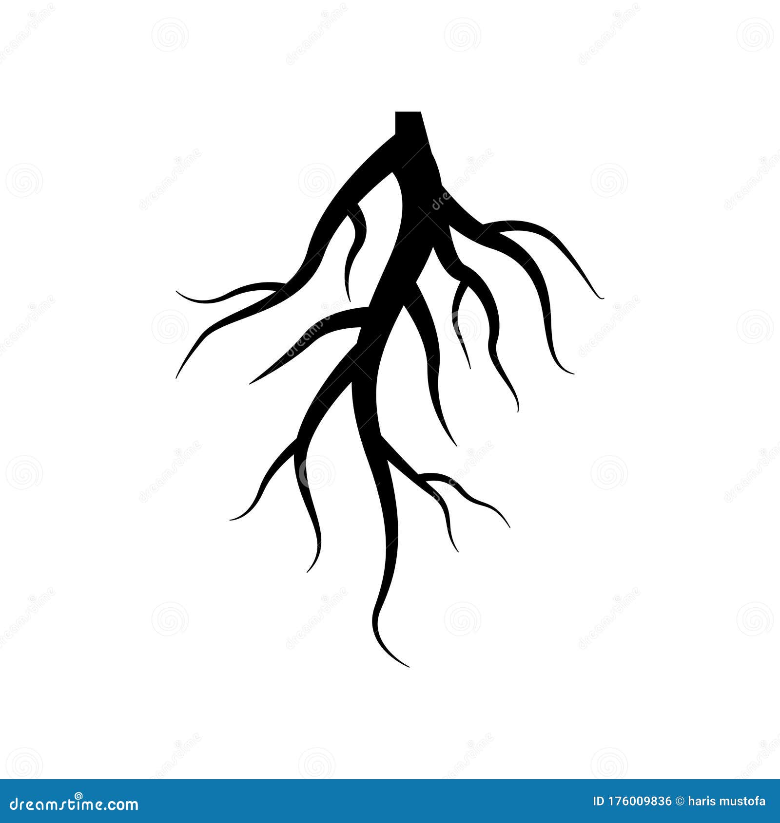Root Graphic Design Template Vector Isolated Stock Illustration ...