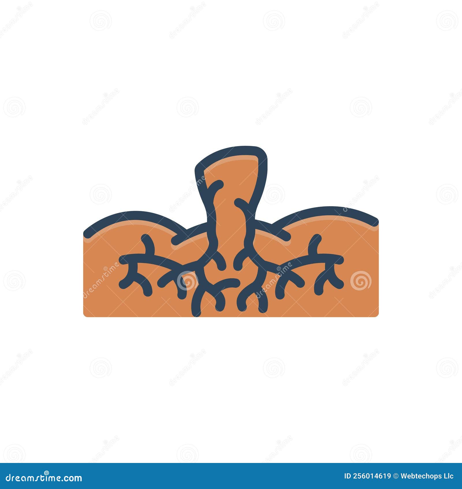 Color Illustration Icon for Root, Nature and Plant Stock Vector ...