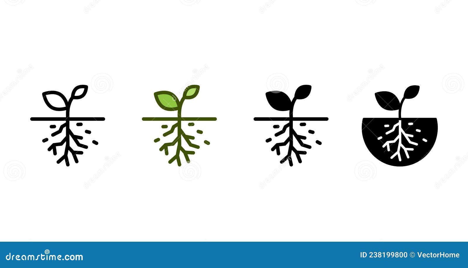 Root Icon , Vector Illustration, Line Color Vector Illustration Stock ...