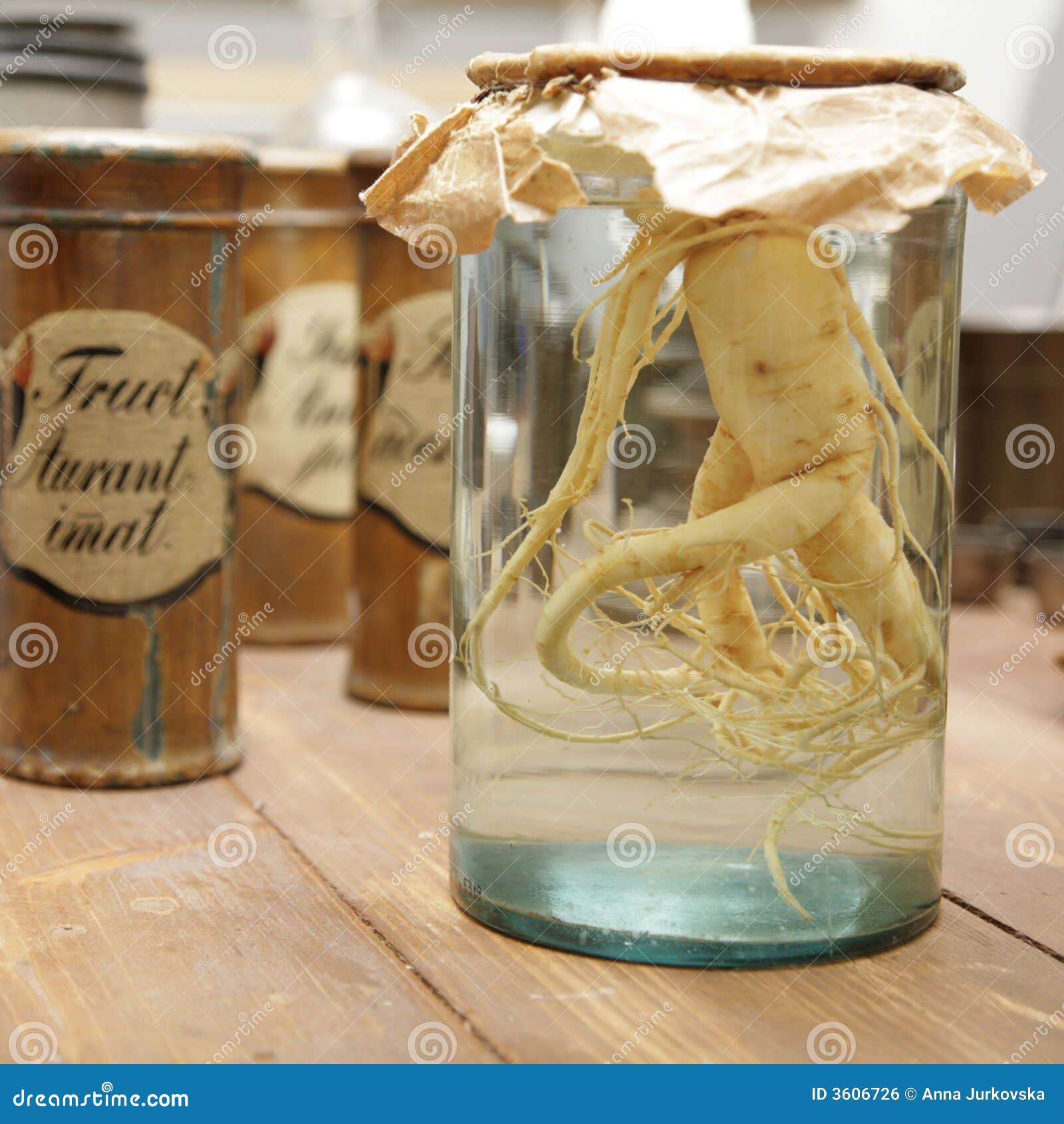 Root in jar stock photo. Image of growth, cure, glass - 3606726
