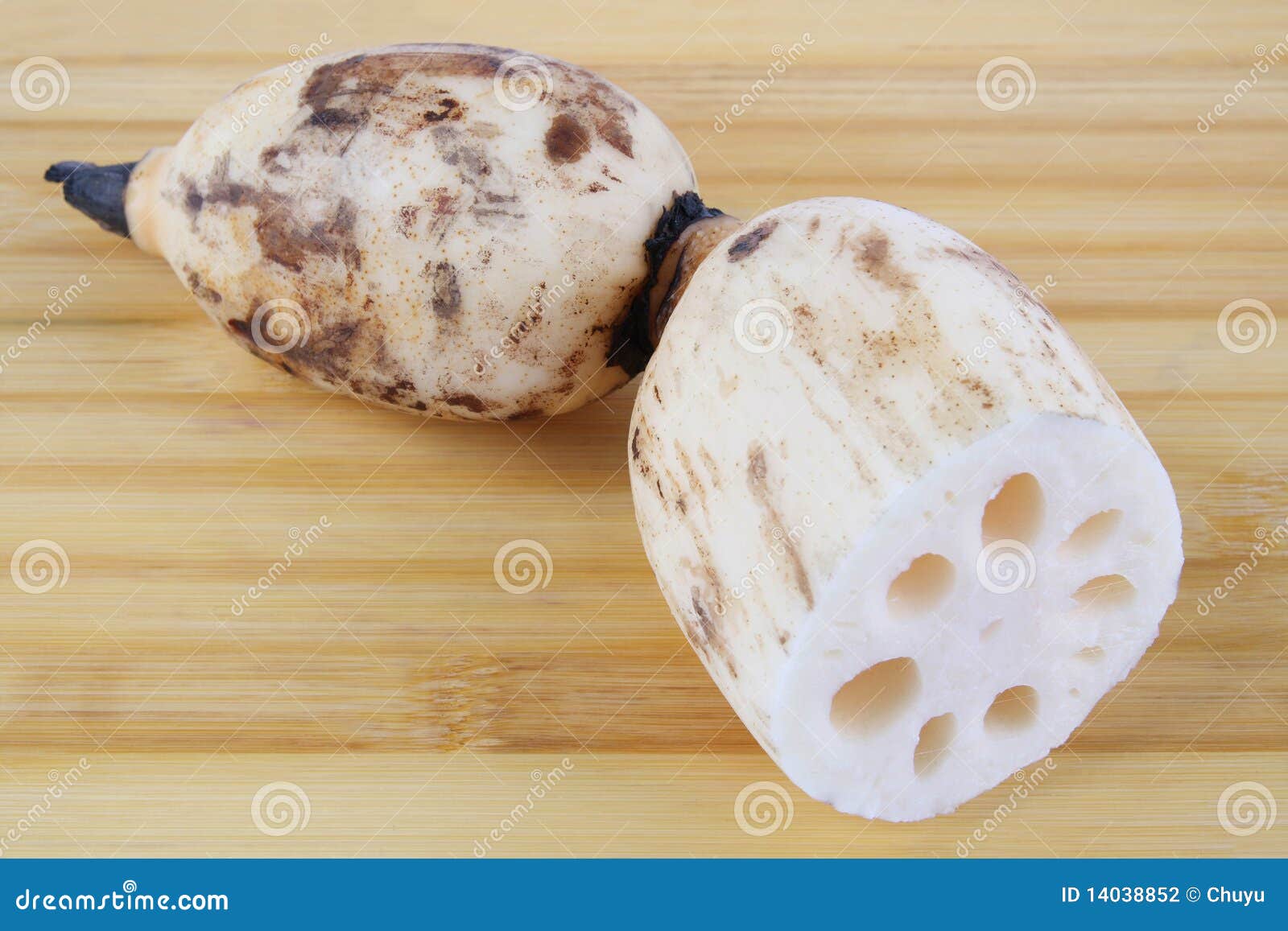 Root of lotus stock photo. Image of lotus, delicious - 14038852