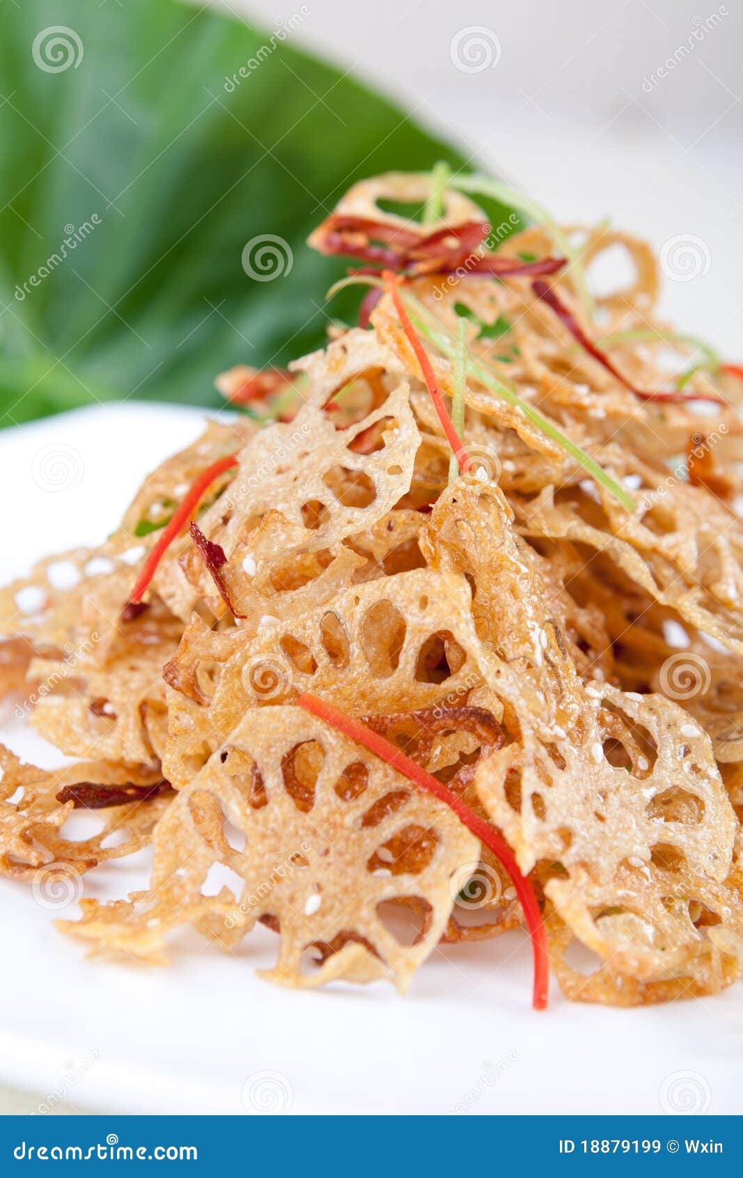 Root of lotus stock image. Image of appetizer, meal, cuisine - 18879199