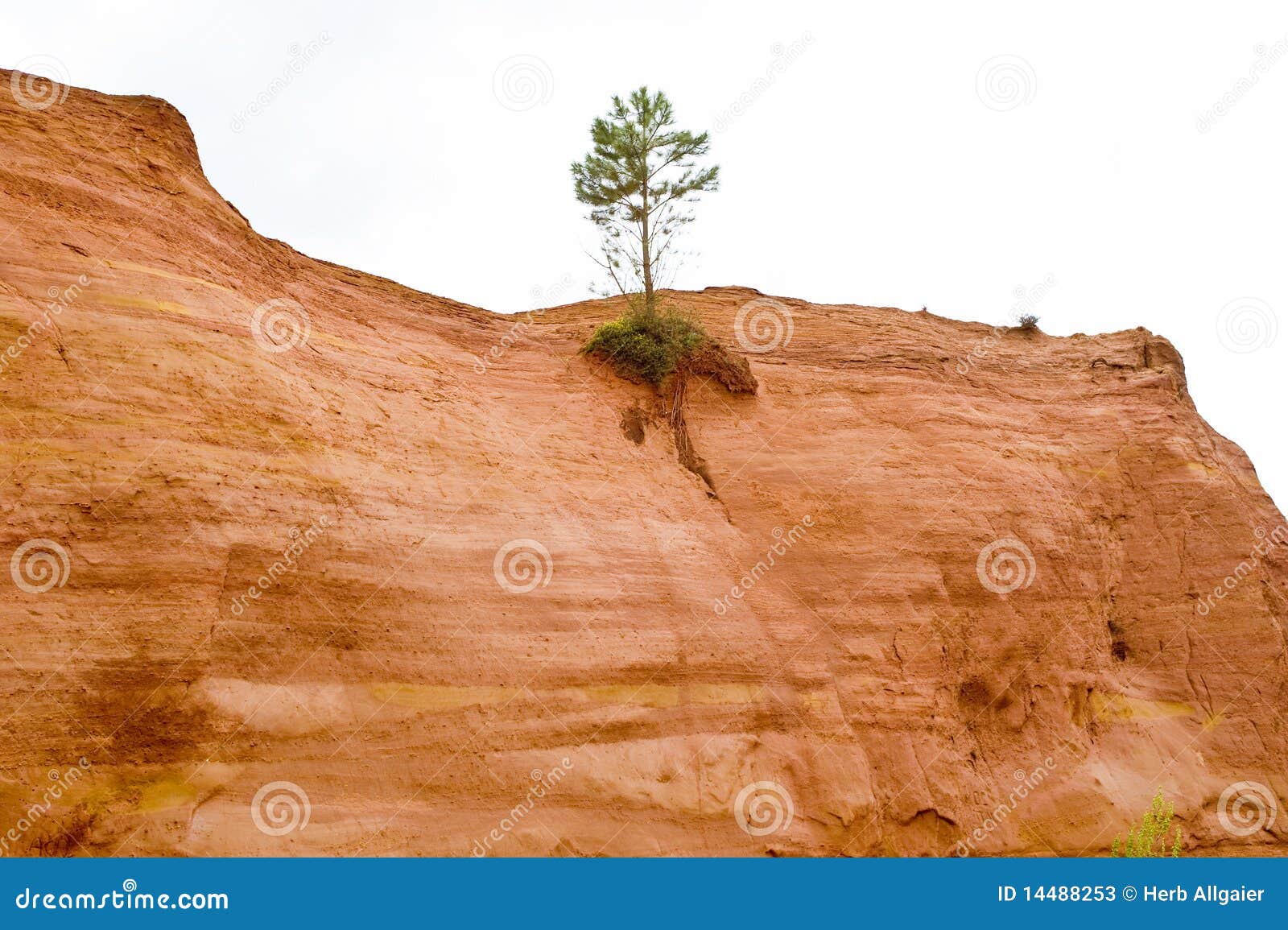 Root power stock image. Image of reserve, nature, ochre - 14488253