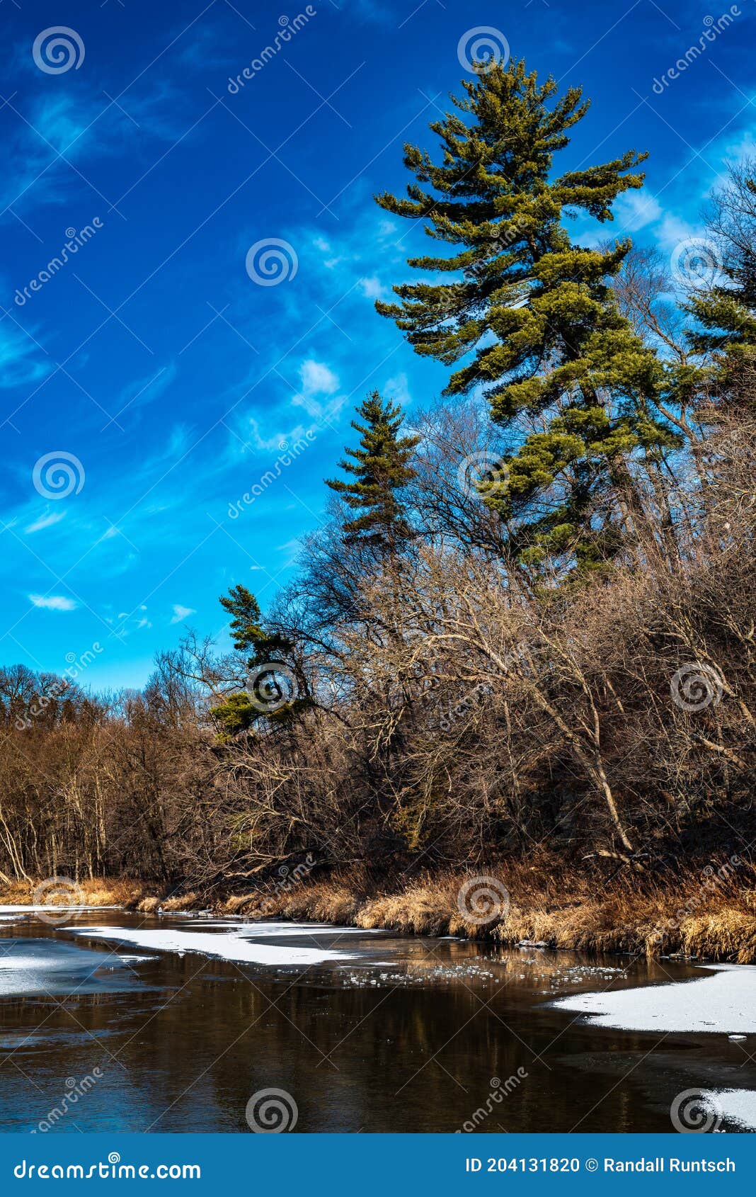 Root River in Root River Park Stock Photo - Image of blue, river: 204131820